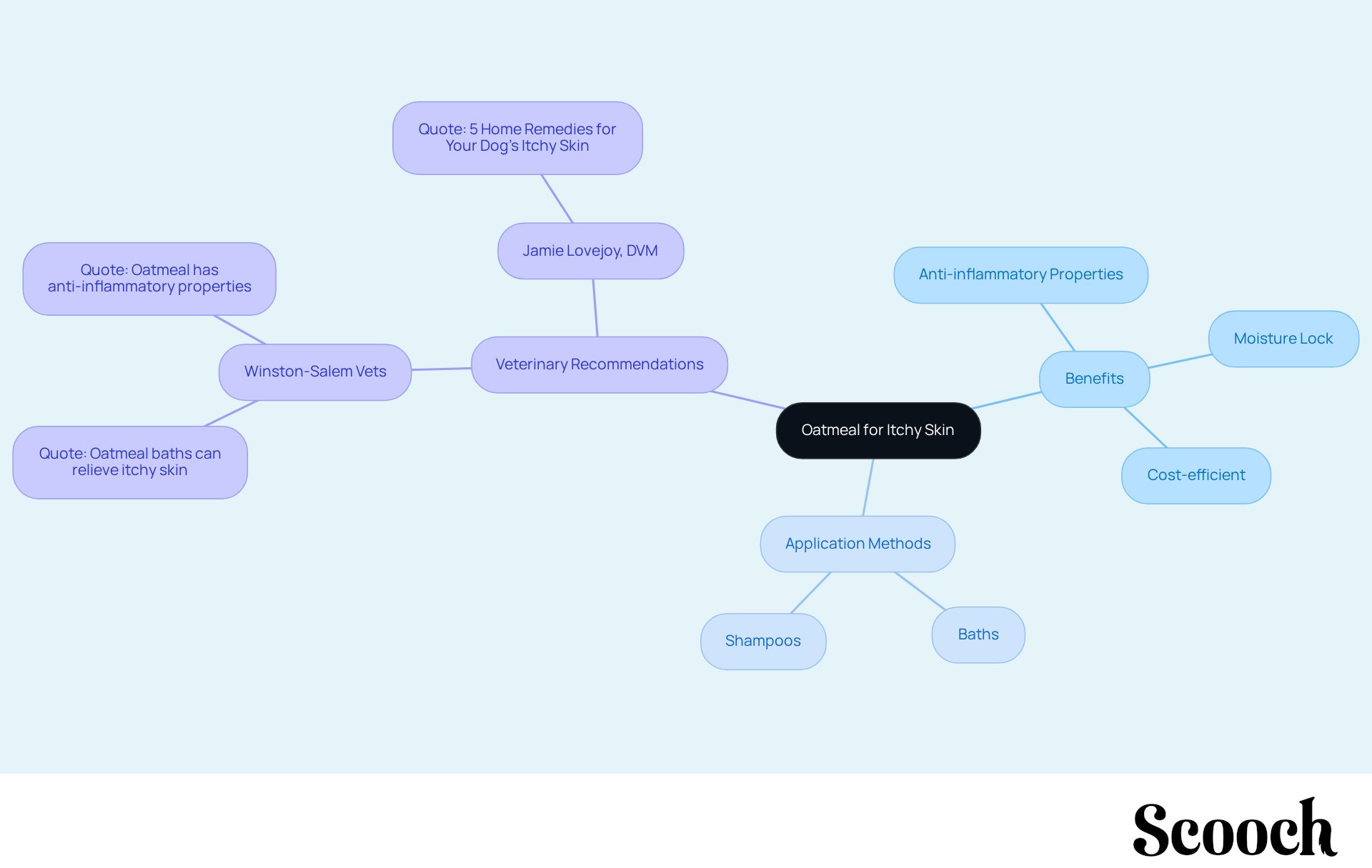 The center shows the main topic, and the branches illustrate the benefits, how to use oatmeal, and what vets say about it. Each color-coded branch helps you quickly identify different aspects of using oatmeal for your dog's skin health.