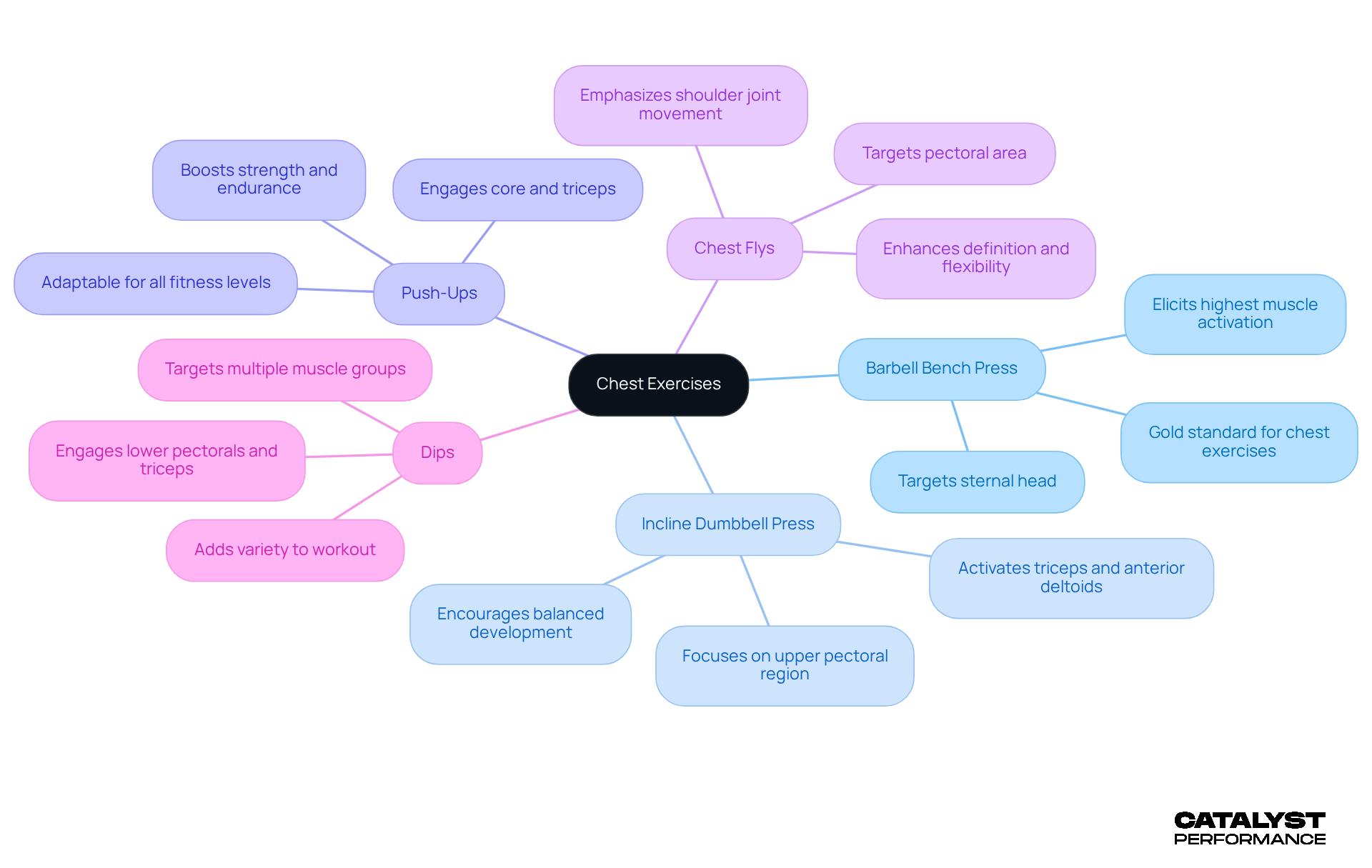 The central node represents the overall theme of chest exercises, while each branch details a specific exercise and its benefits. Follow the branches to understand how each exercise contributes to building a strong upper body.