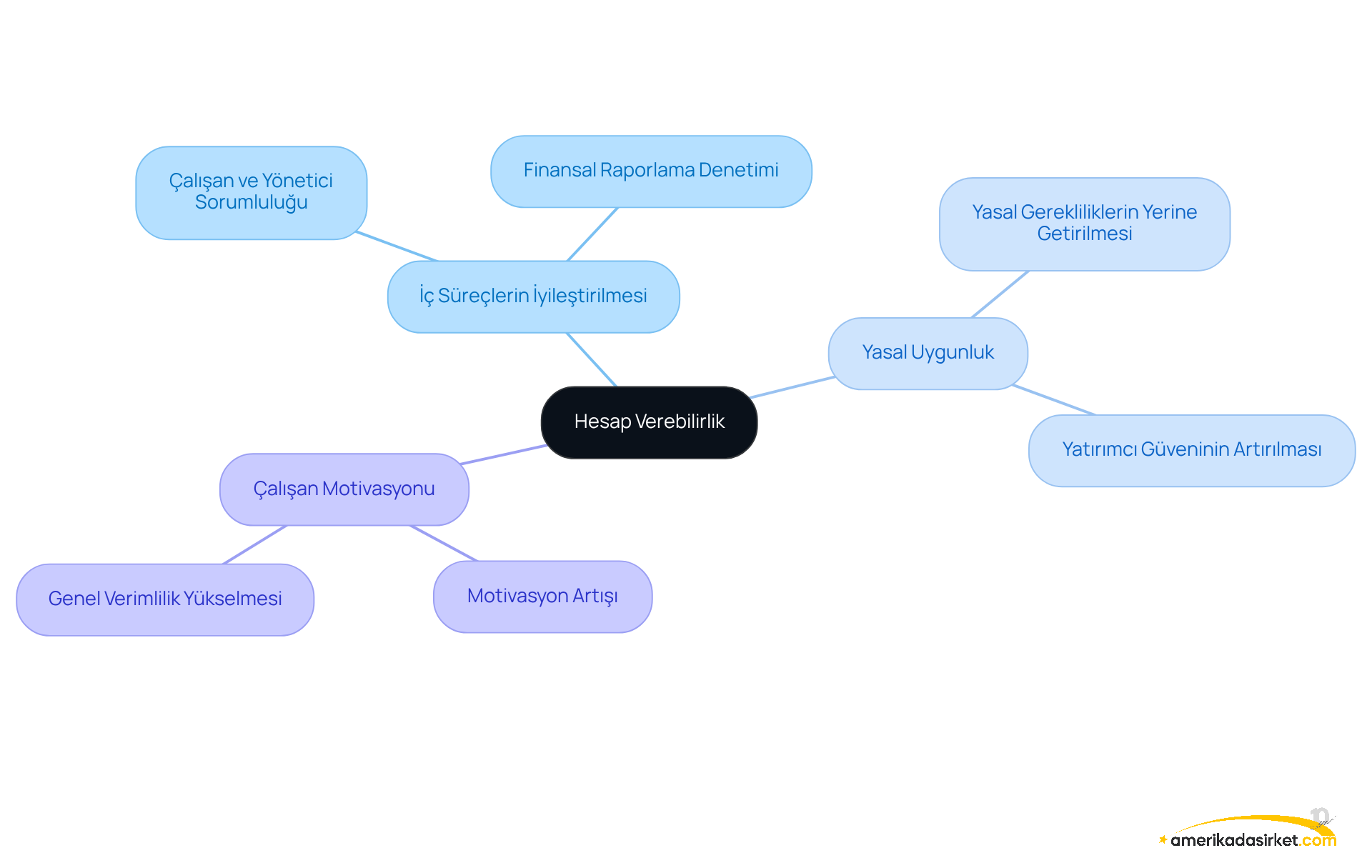 Merkezde hesap verebilirlik var; dallar ise bunun işletmelere olan etkilerini gösteriyor. Her dal, hesap verebilirliğin nasıl sağlanabileceği ve bunun işletmeye katkıları hakkında bilgi veriyor.