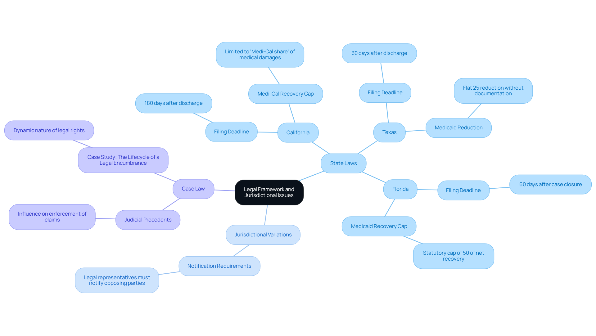 The central node represents the overall theme, while branches show key considerations. Each color-coded branch helps you understand different aspects of the legal framework, making it easier to grasp the complexities involved.