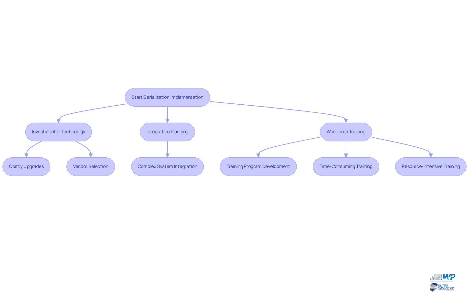 Each box represents a challenge or step in the serialization process. Follow the arrows to navigate from one challenge to the next, illustrating how they are interconnected.