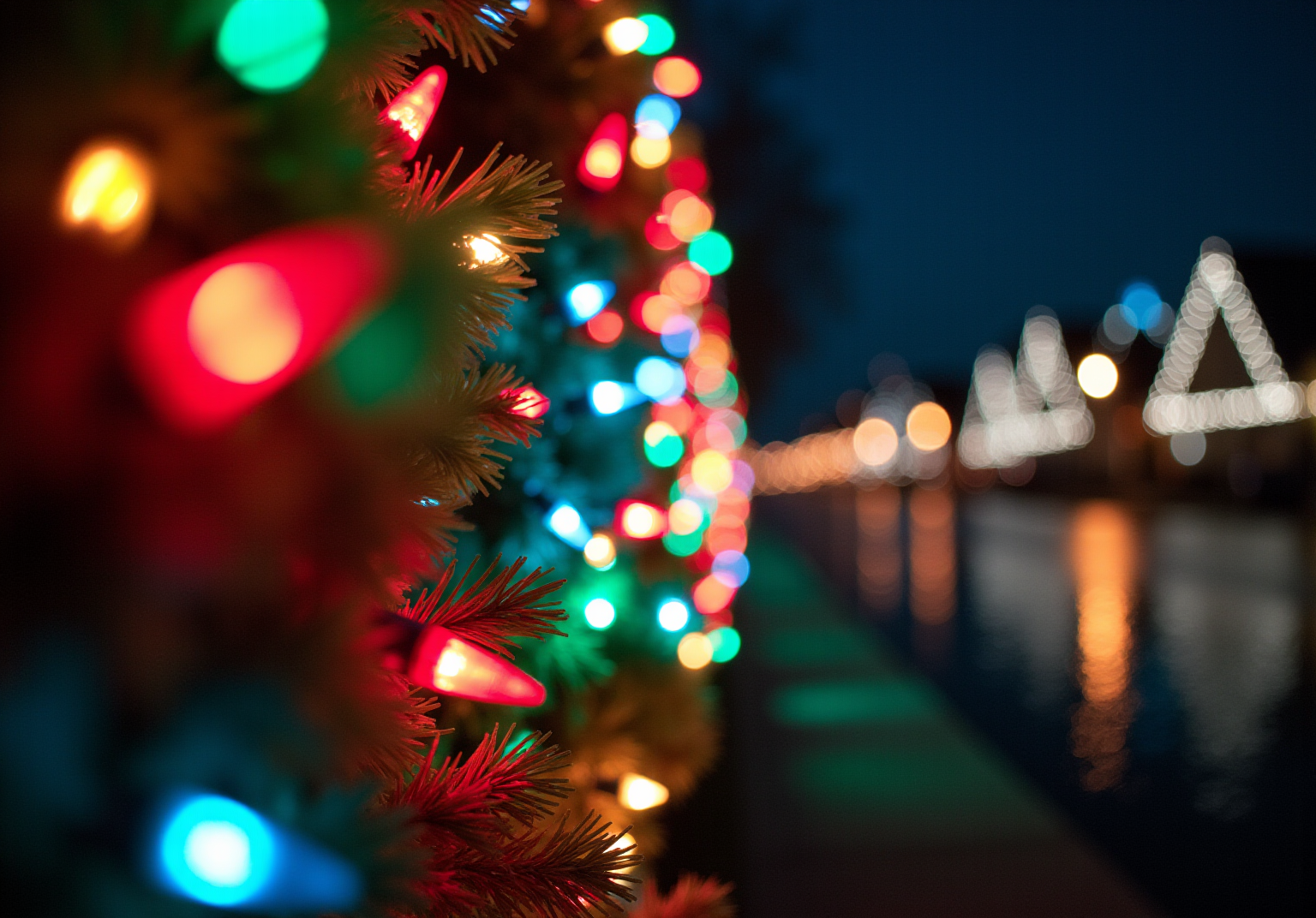 Magical Christmas Lights Magical Christmas Lights