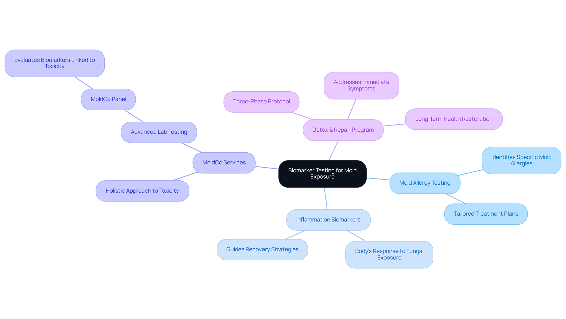 The center represents the main theme of biomarker testing, while the branches show different tests and programs that support recovery. Each branch provides specific insights into how they contribute to understanding and addressing mold exposure.
