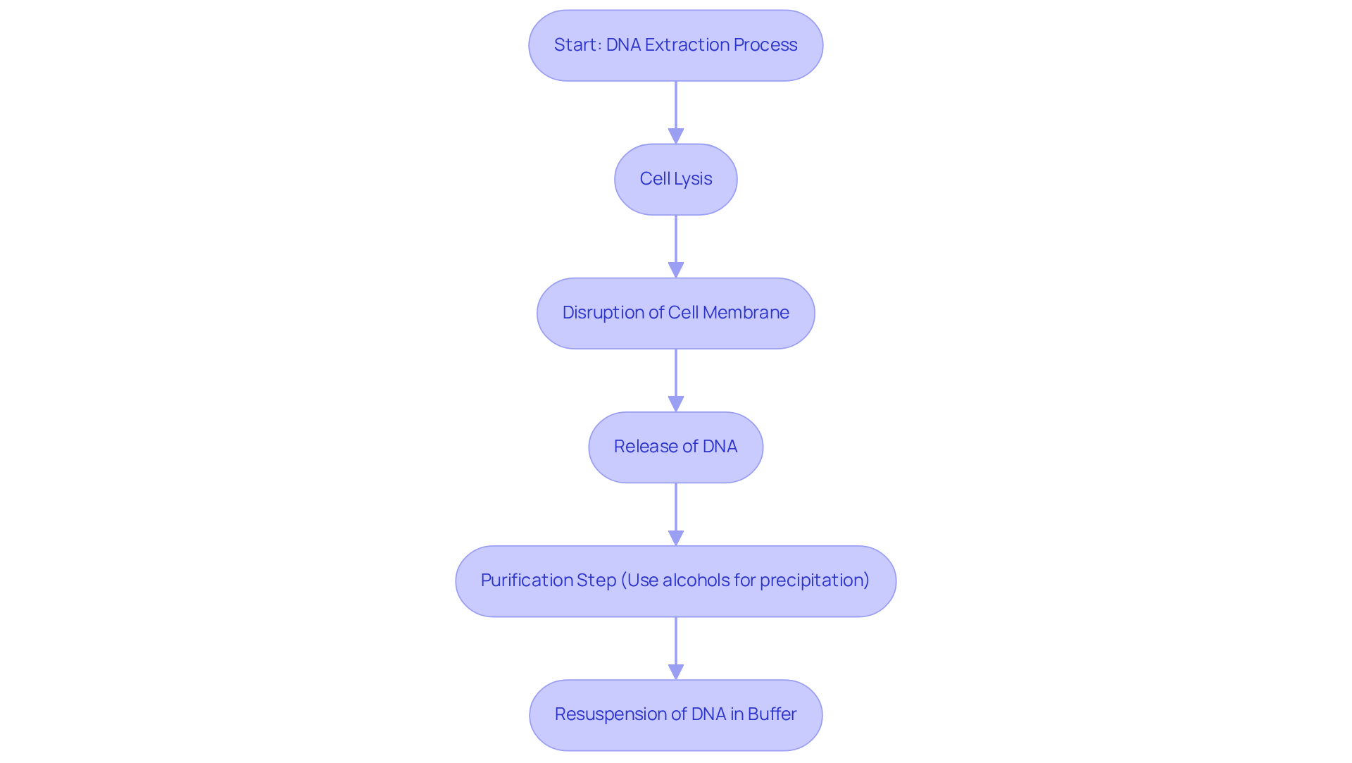 This flowchart shows the steps involved in extracting DNA. Each box represents a stage in the process, and the arrows indicate the order in which these steps occur. Follow the flow to understand how DNA is isolated from biological sources.