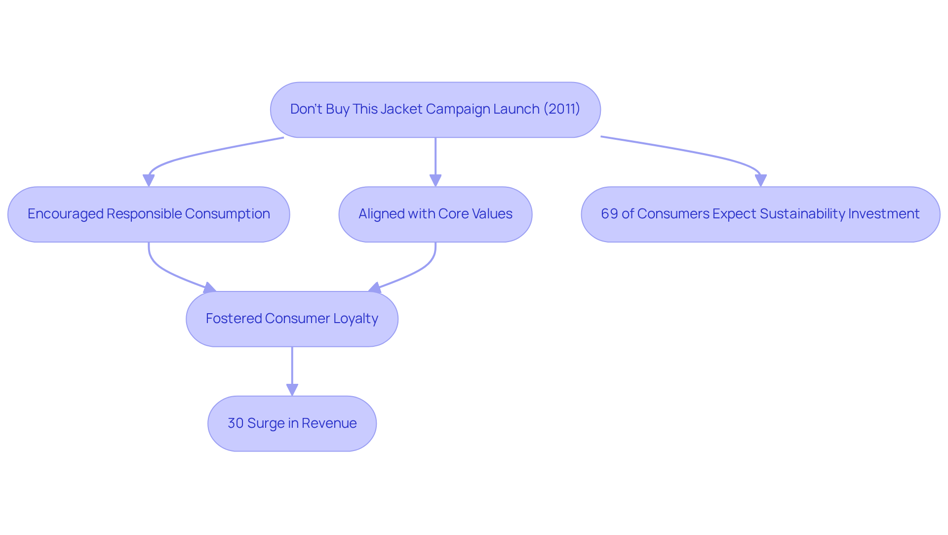 This flowchart shows how Patagonia's campaign led to increased consumer loyalty and sales, highlighting the importance of aligning marketing with values.
