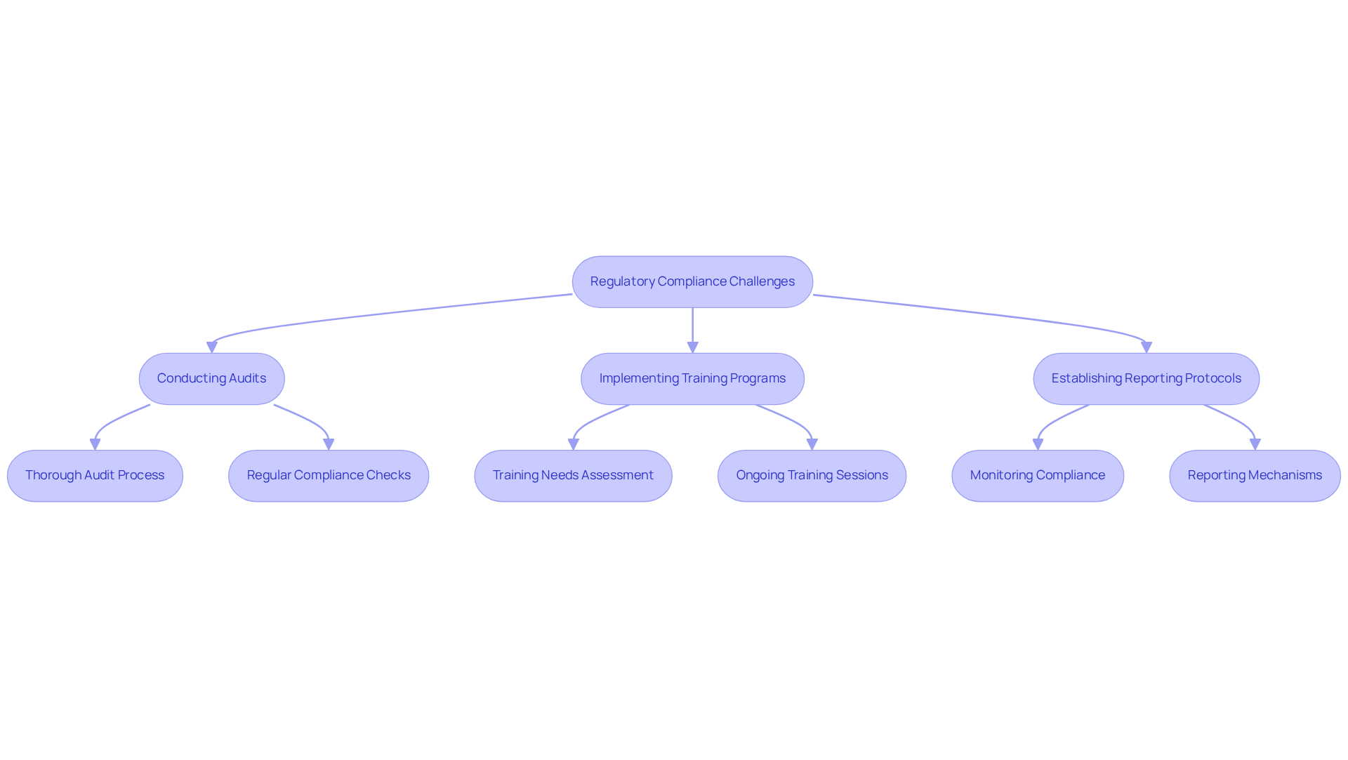 This flowchart outlines the steps healthcare entities must take to navigate compliance challenges. Start with the main challenge, then follow the arrows to see the strategies that can help ensure adherence to regulations. This flowchart outlines the steps healthcare entities must take to navigate compliance challenges. Start with the main challenge, then follow the arrows to see the strategies that can help ensure adherence to regulations.