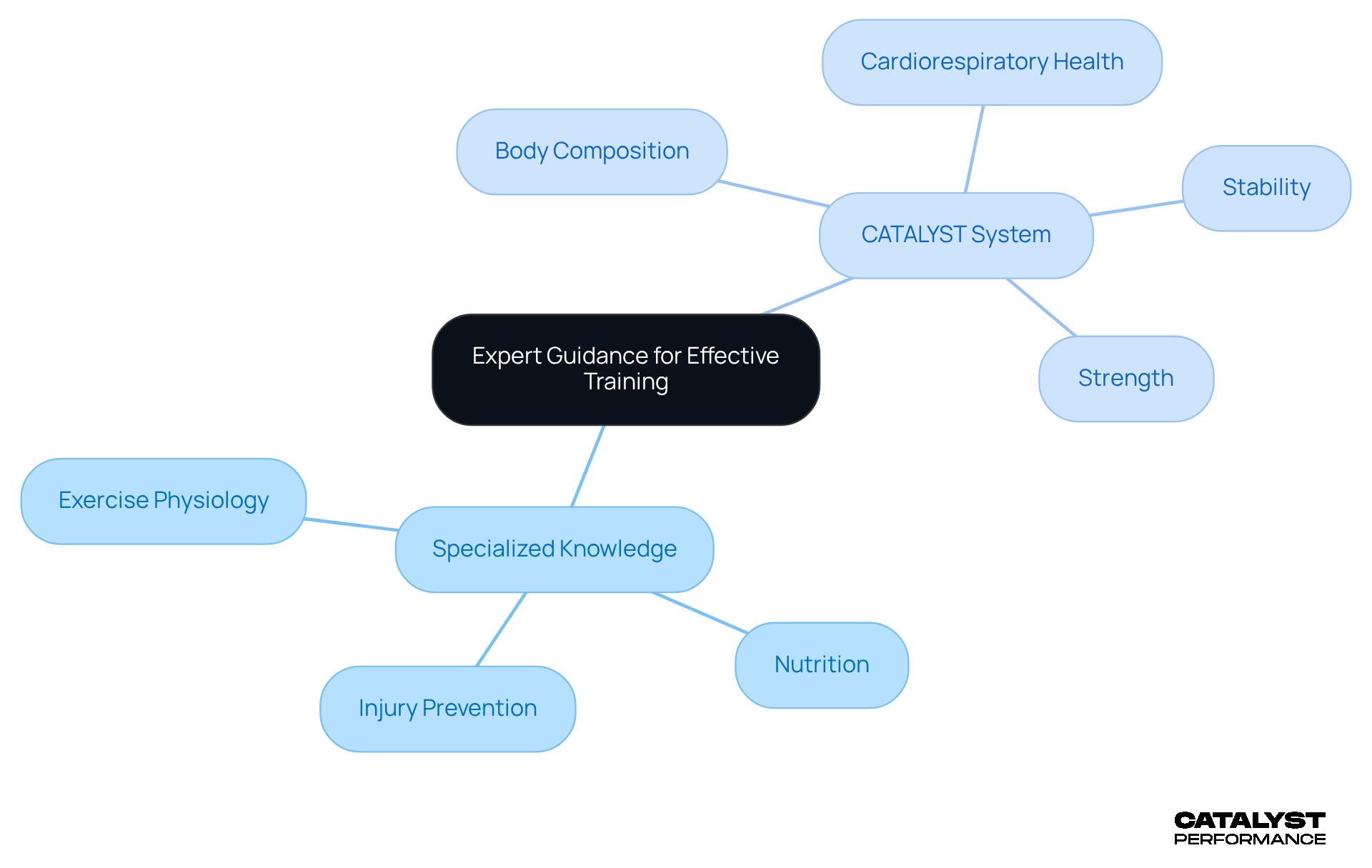 The central node represents the importance of expert guidance, while the branches show the specialized knowledge areas and the four pillars of the CATALYST System that contribute to effective training.