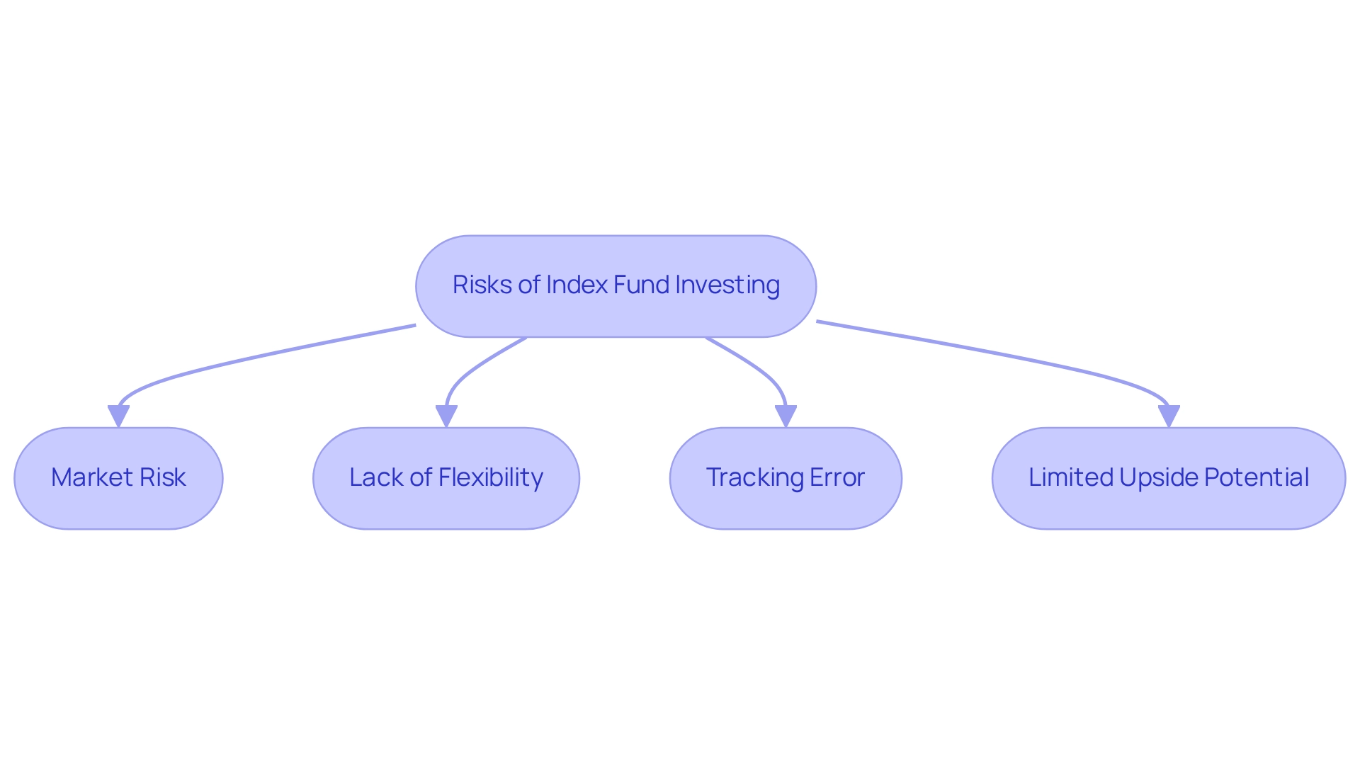 Each box represents a specific risk associated with index fund investing, color-coded for easy identification.