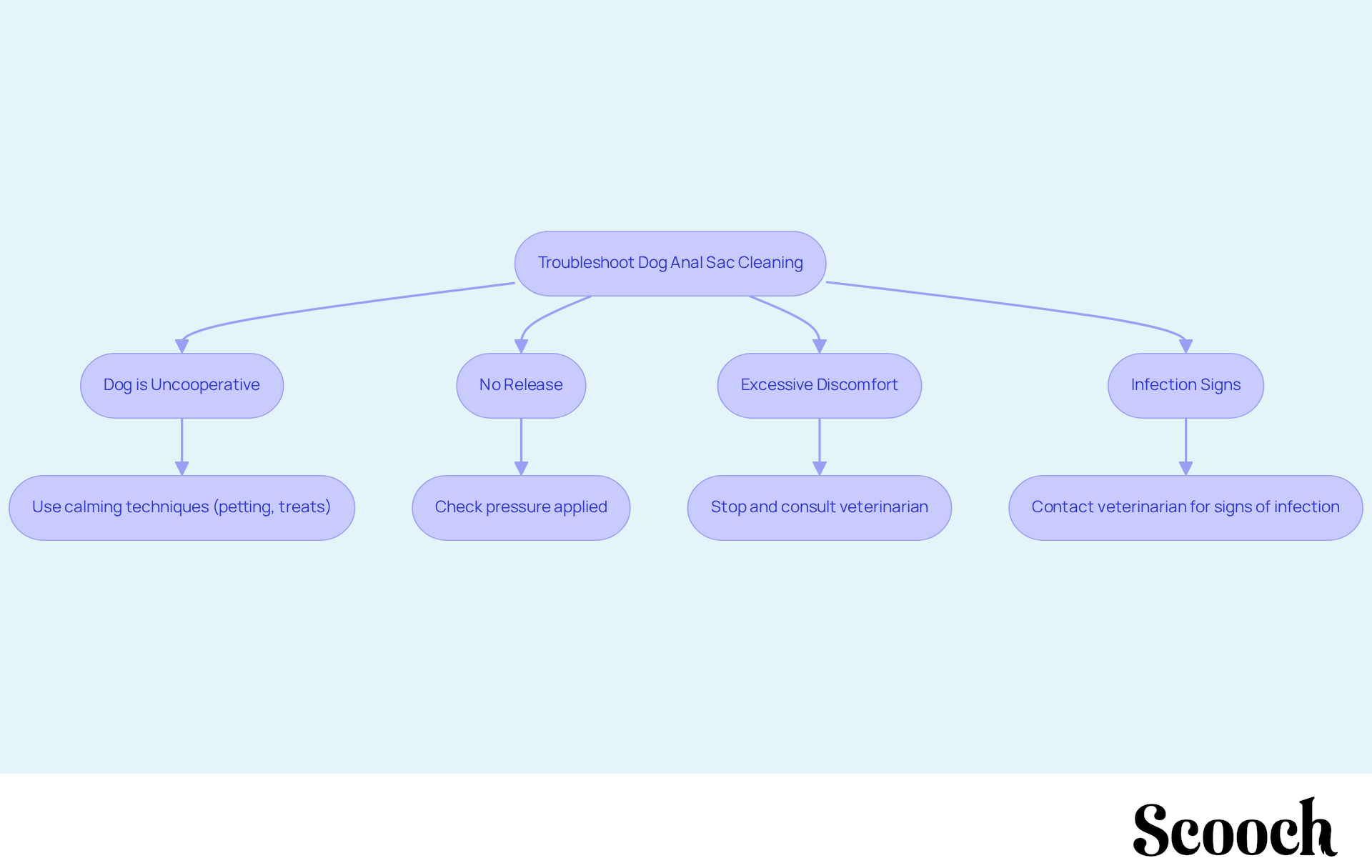 Follow the arrows to navigate through common problems you might face while cleaning your dog's anal sacs. Each box represents a specific issue, and the arrows lead you to the recommended actions to take. Follow the arrows to navigate through common problems you might face while cleaning your dog's anal sacs. Each box represents a specific issue, and the arrows lead you to the recommended actions to take.