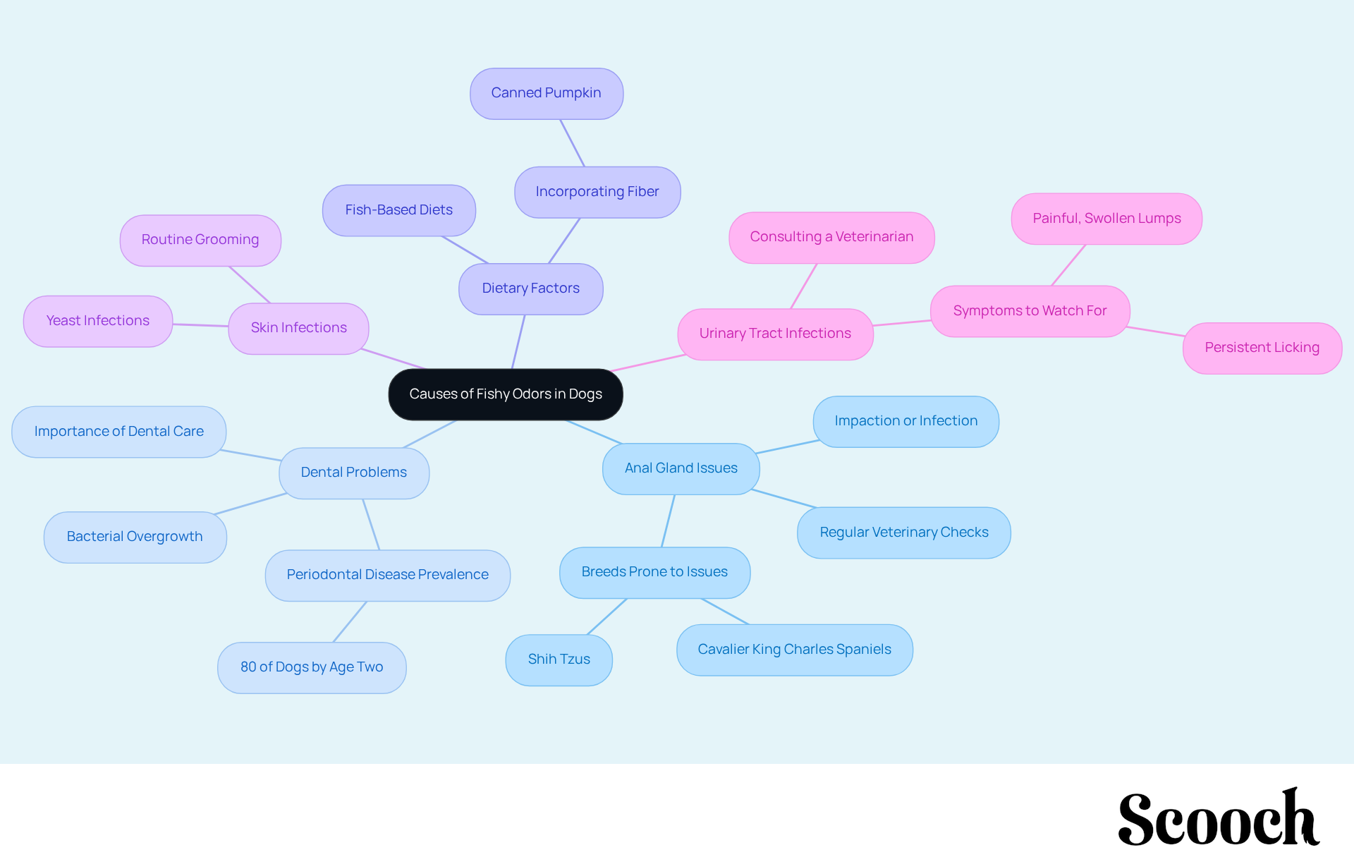 The center represents the main issue of fishy odors, and each branch shows a different cause. Follow the branches to learn more about each factor and how they relate to your dog's health. The center represents the main issue of fishy odors, and each branch shows a different cause. Follow the branches to learn more about each factor and how they relate to your dog's health.