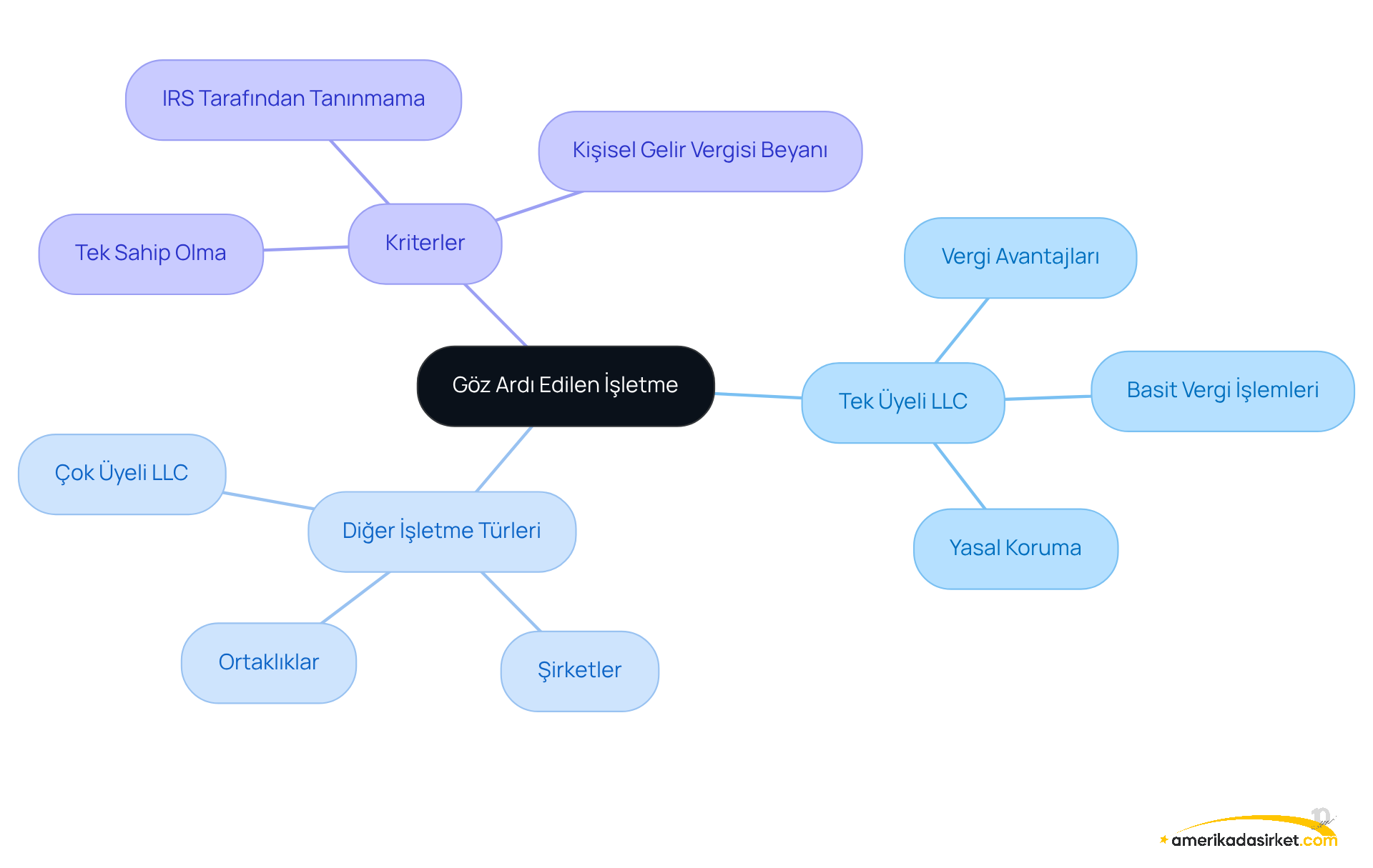 Merkezdeki kavramdan başlayarak, her dalda ilgili bilgileri takip edin. Tek üyeli LLC'ler, diğer işletme türleri ve kriterler hakkında bilgi edinebilirsiniz. Renkler, her bir konunun farklılığını vurgulamak için kullanıldı.