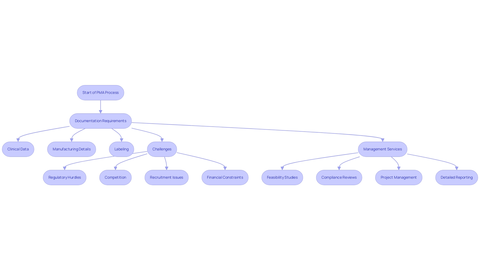 Each box represents a step or requirement in the PMA process, with arrows indicating the flow and relationships between them.