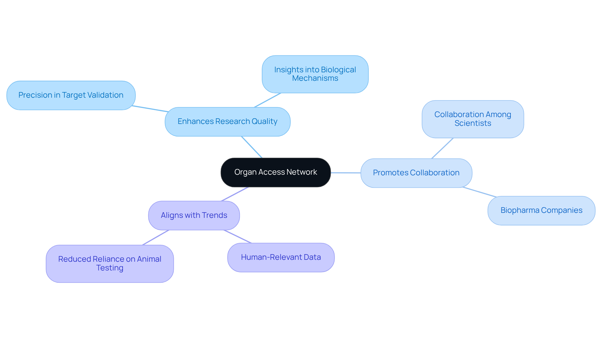 Start at the center with the organ access network, then explore how it enhances research, fosters collaboration, and aligns with modern trends in medication development.