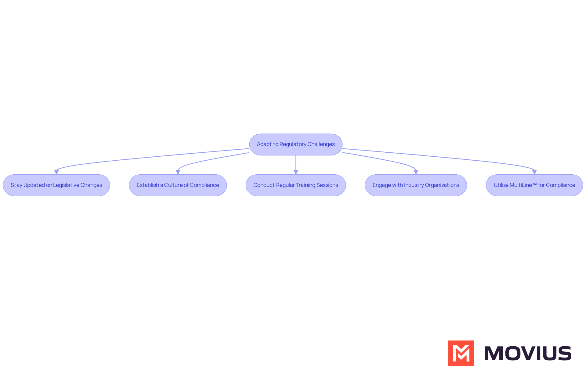Each box represents a crucial step in adapting to regulatory challenges. Follow the arrows to see how each action leads to the next in the compliance process.