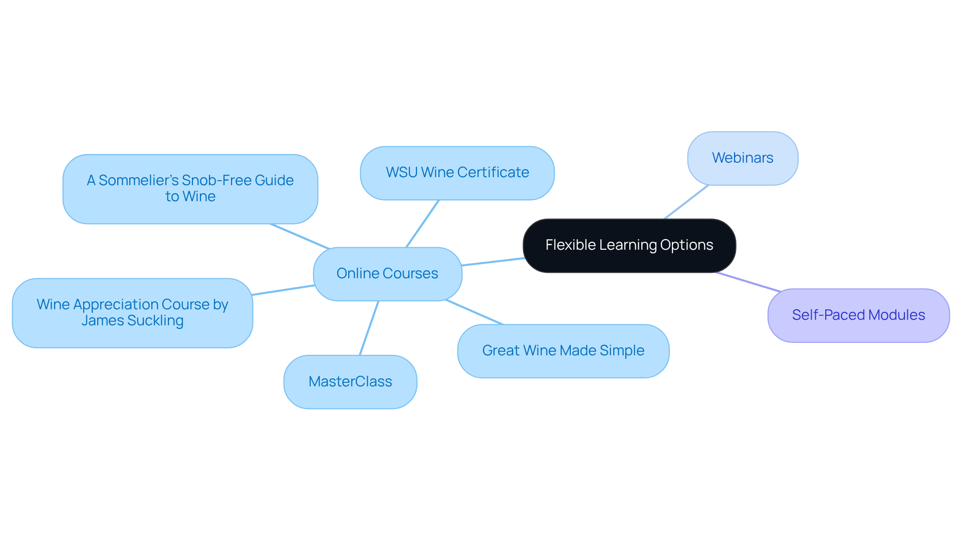Start at the center with 'Flexible Learning Options' and explore each branch for different learning formats and specific programs available to marketers in the wine industry.