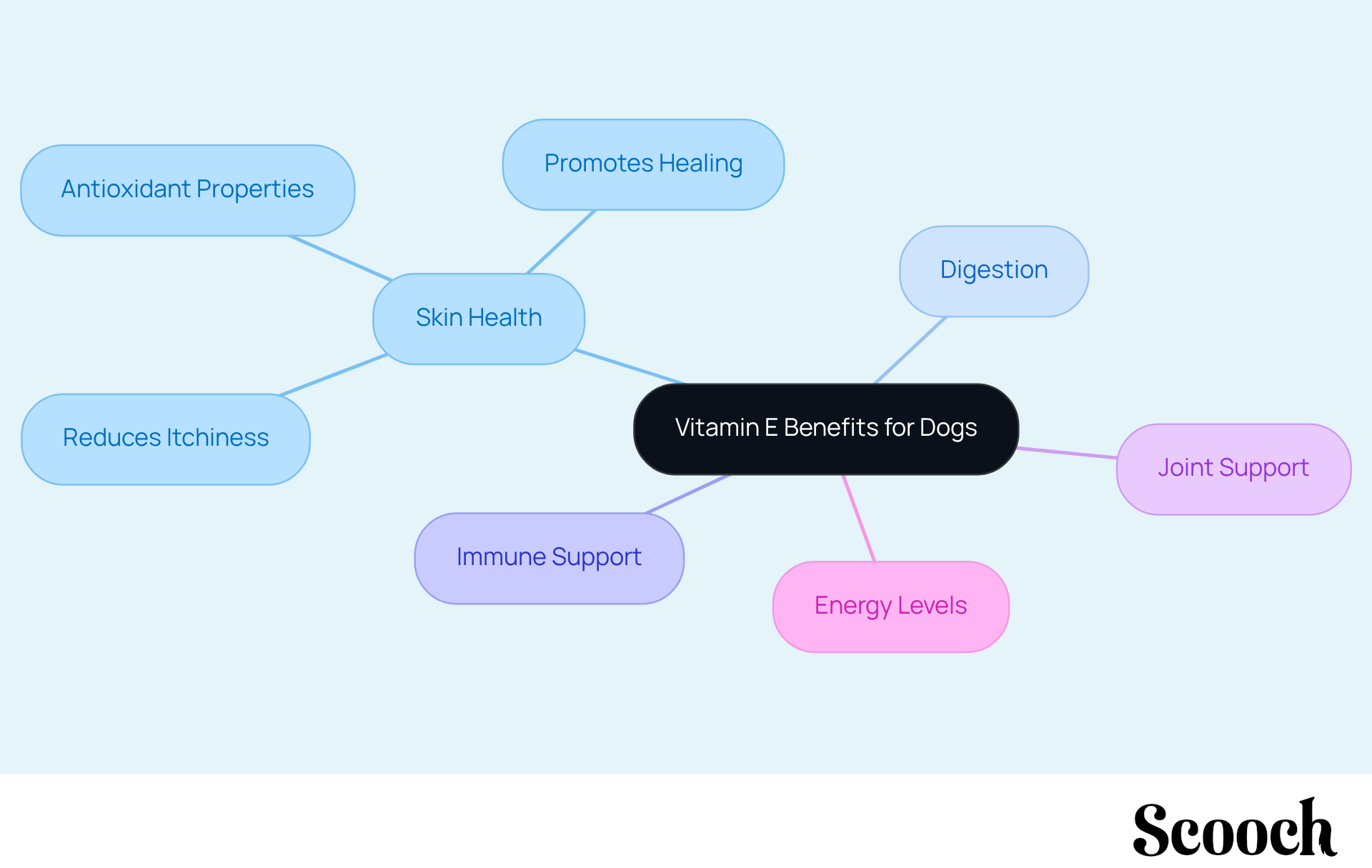 The center shows Vitamin E, and the branches highlight its various benefits for your dog. Each branch connects to specific advantages, making it easy to understand how Vitamin E can improve your pet's health.