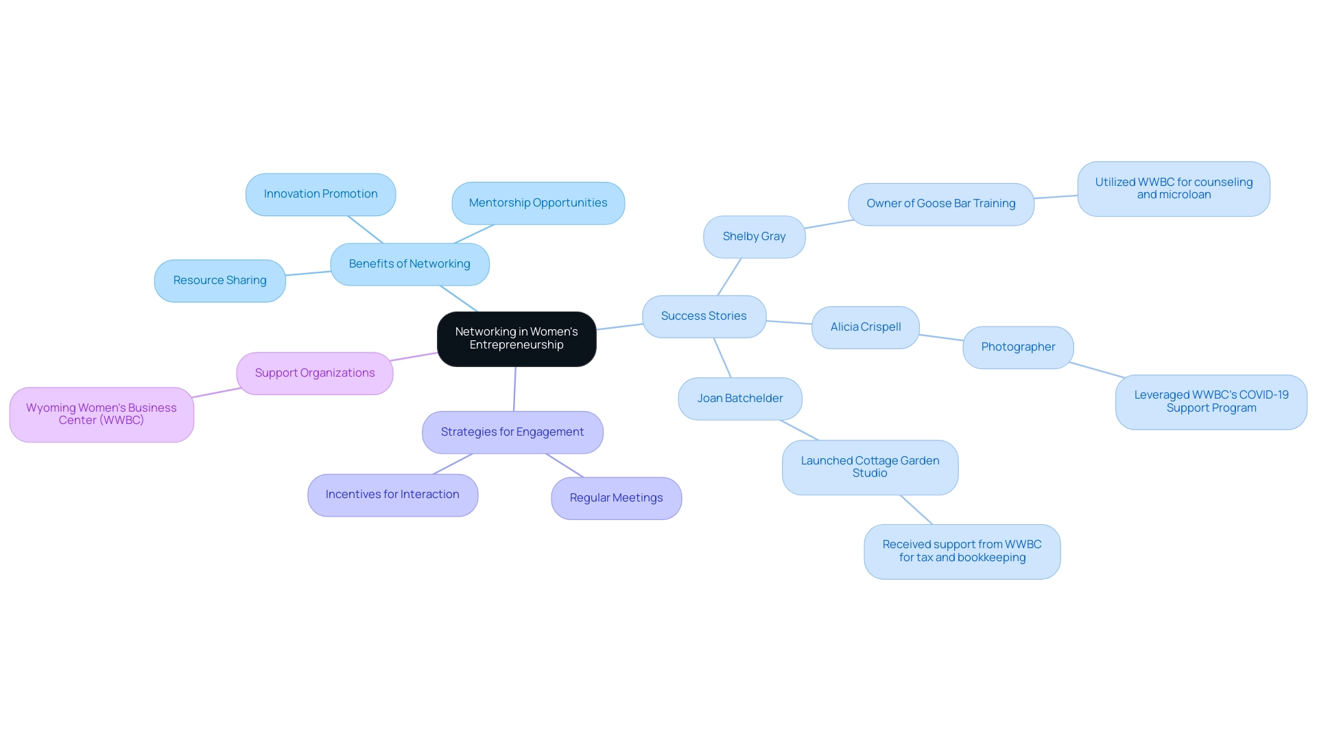 The central node represents the main theme, with branches showing key benefits, success stories, engagement strategies, and support organizations related to networking.