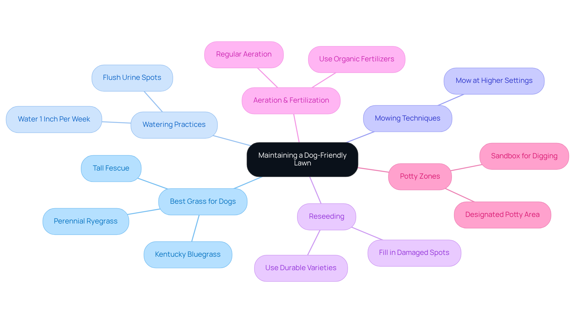 The central node represents the main topic, while the branches show different areas of focus for lawn care. Each sub-branch provides specific advice or considerations related to that area, helping you understand how to keep your yard healthy and enjoyable for your dog.