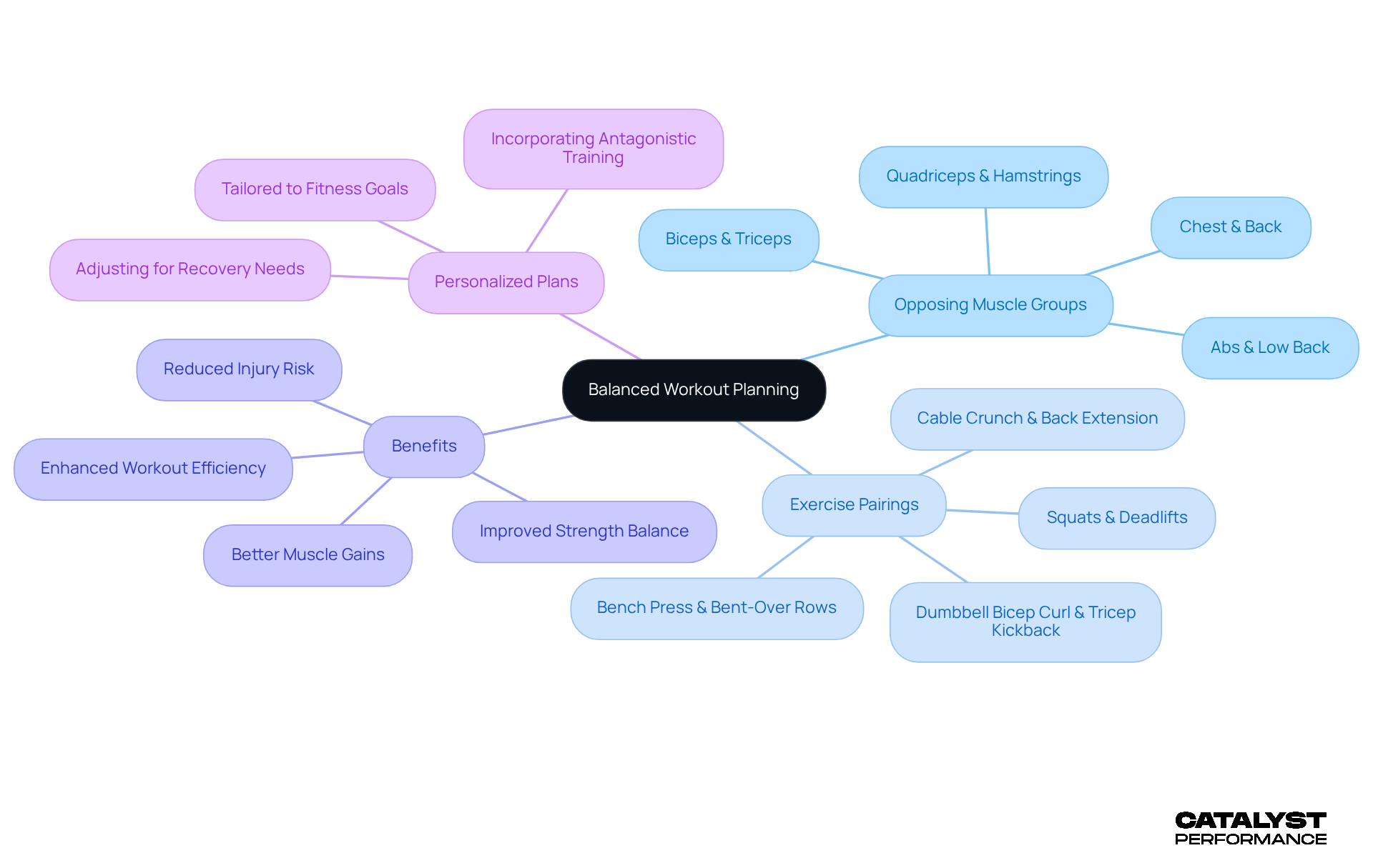 The center represents the main idea of balanced workout planning. Each branch shows related concepts, like muscle groups and exercise pairings, helping you see how they connect and support your fitness goals.