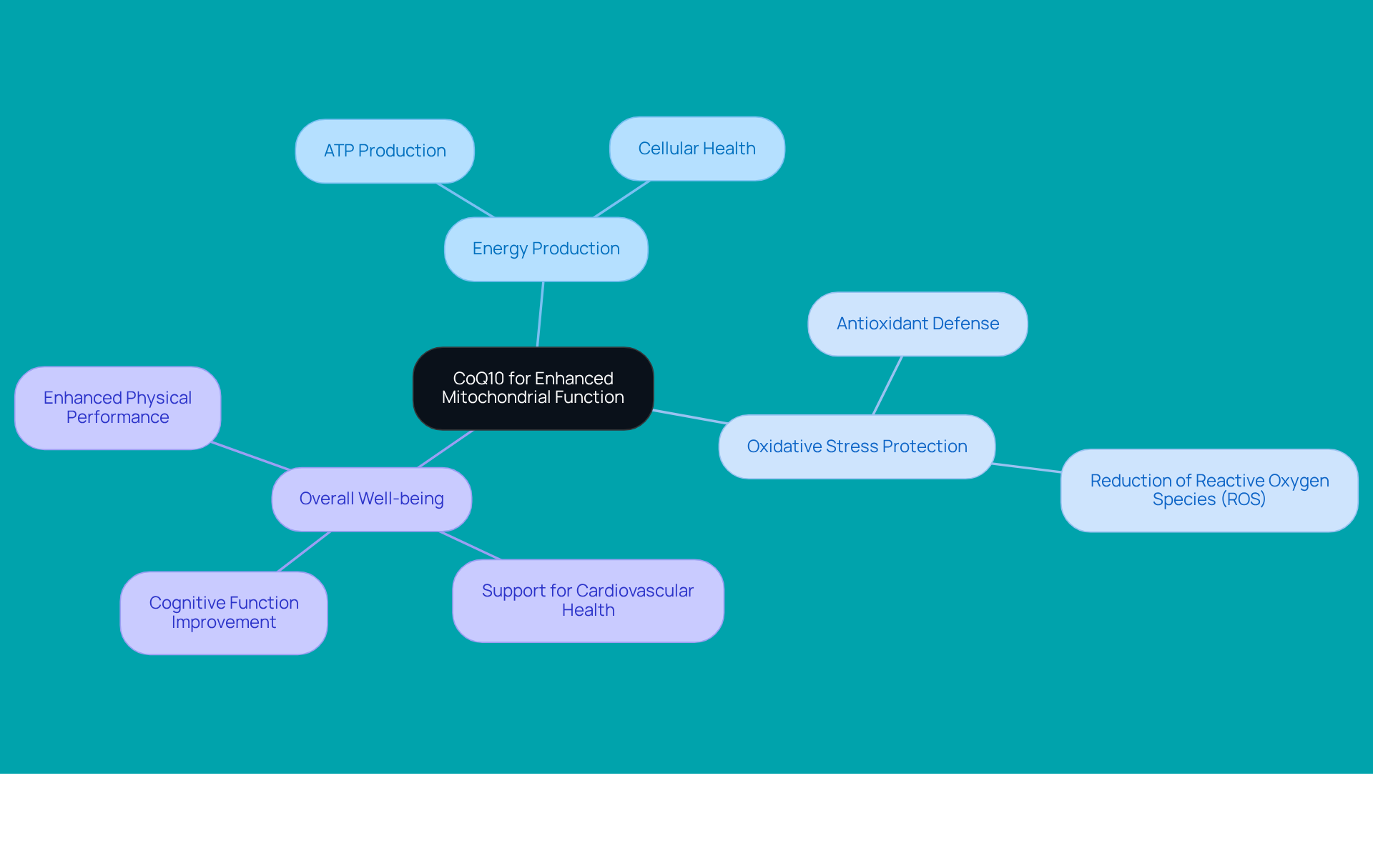 The center represents CoQ10, and the branches show how it contributes to energy, protects against stress, and supports overall health. Follow the branches to explore each benefit.