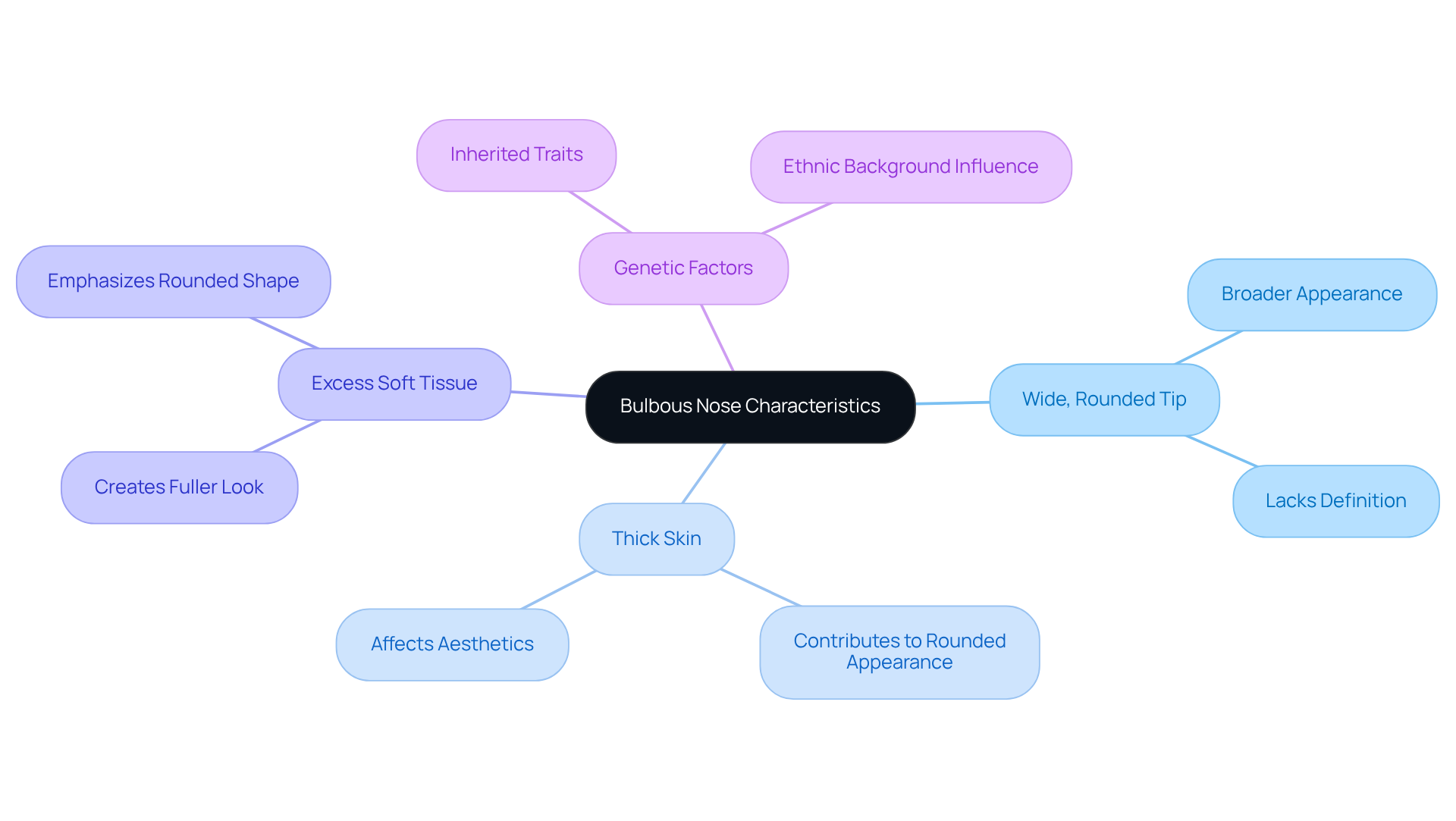 The central node represents the main topic, while the branches show different characteristics. Each branch provides more detail about that specific feature, helping you understand the overall concept of a bulbous nose. The central node represents the main topic, while the branches show different characteristics. Each branch provides more detail about that specific feature, helping you understand the overall concept of a bulbous nose.