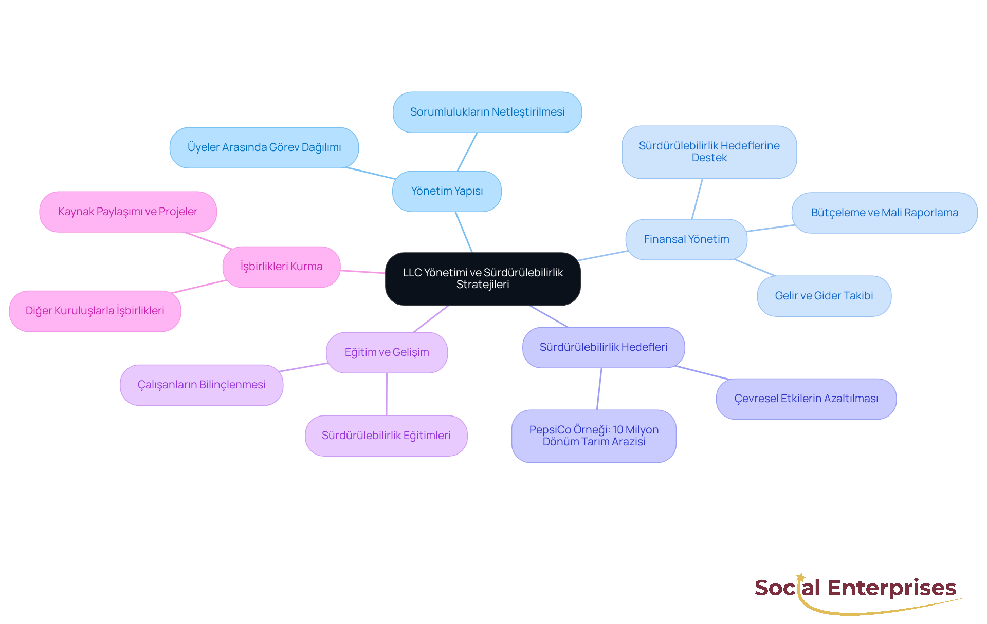 Merkezdeki başlık LLC yönetimi ve sürdürülebilirlik ile ilgili stratejileri temsil ediyor. Dalların her biri, belirli bir stratejiyi veya eylem planını gösteriyor. Renkler, her bir stratejinin farklılığını vurgulamak için kullanılıyor.