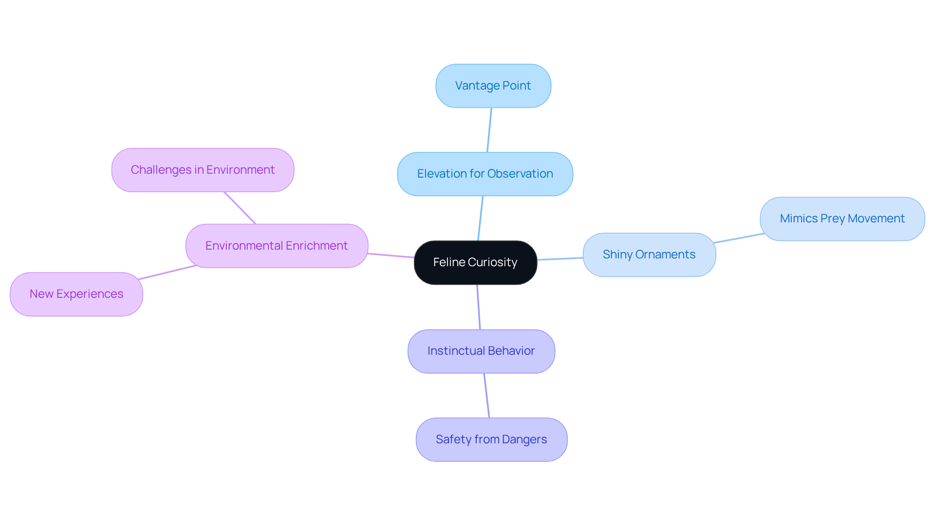 The central idea is feline curiosity, with branches showing how different elements like elevation and shiny decorations attract cats. Follow the branches to see how each factor contributes to their playful exploration. The central idea is feline curiosity, with branches showing how different elements like elevation and shiny decorations attract cats. Follow the branches to see how each factor contributes to their playful exploration.