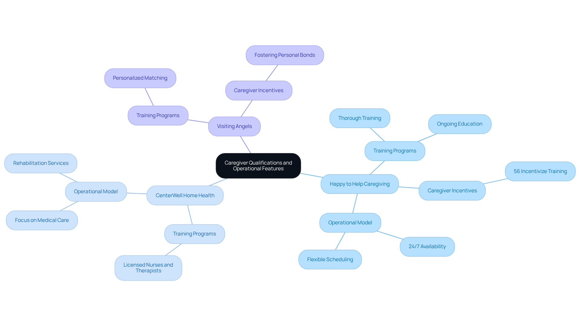 The central node represents the overall topic, while each branch highlights a different caregiving organization. Sub-branches provide details on their unique approaches to caregiver training and qualifications.