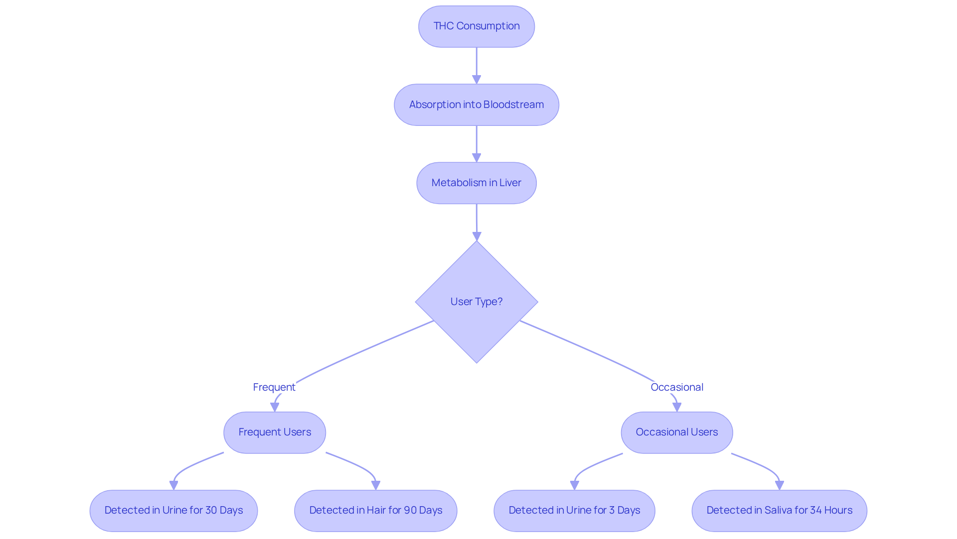 This flowchart outlines how THC is processed in the body and how long it can be detected based on whether a person is a frequent or occasional user. Follow the arrows to see the journey from consumption to detection.