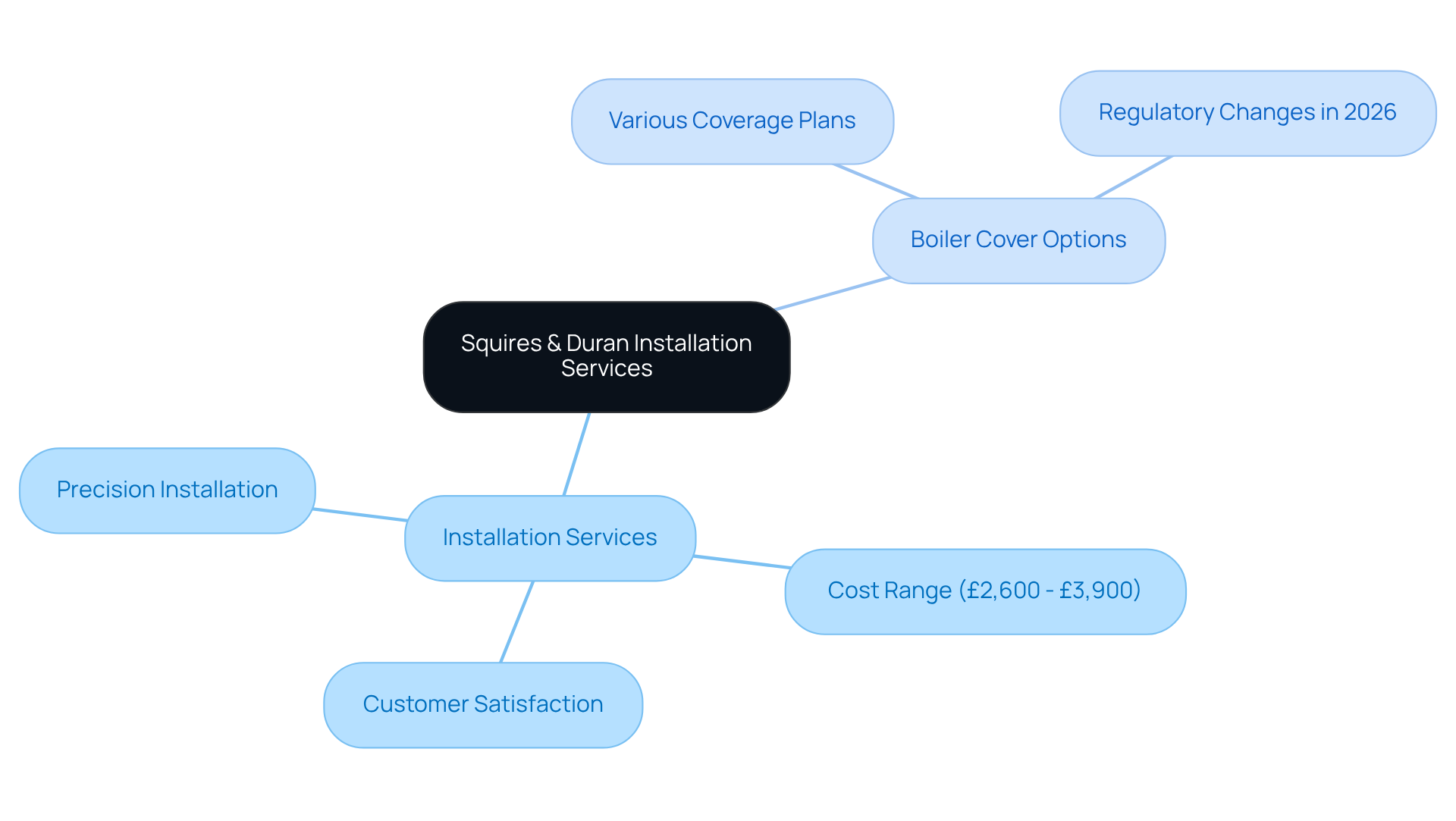 This mindmap shows how Squires & Duran's services are connected. Start at the center with their installation services, then explore the branches to see details about installation quality, costs, customer feedback, and the different cover options available.