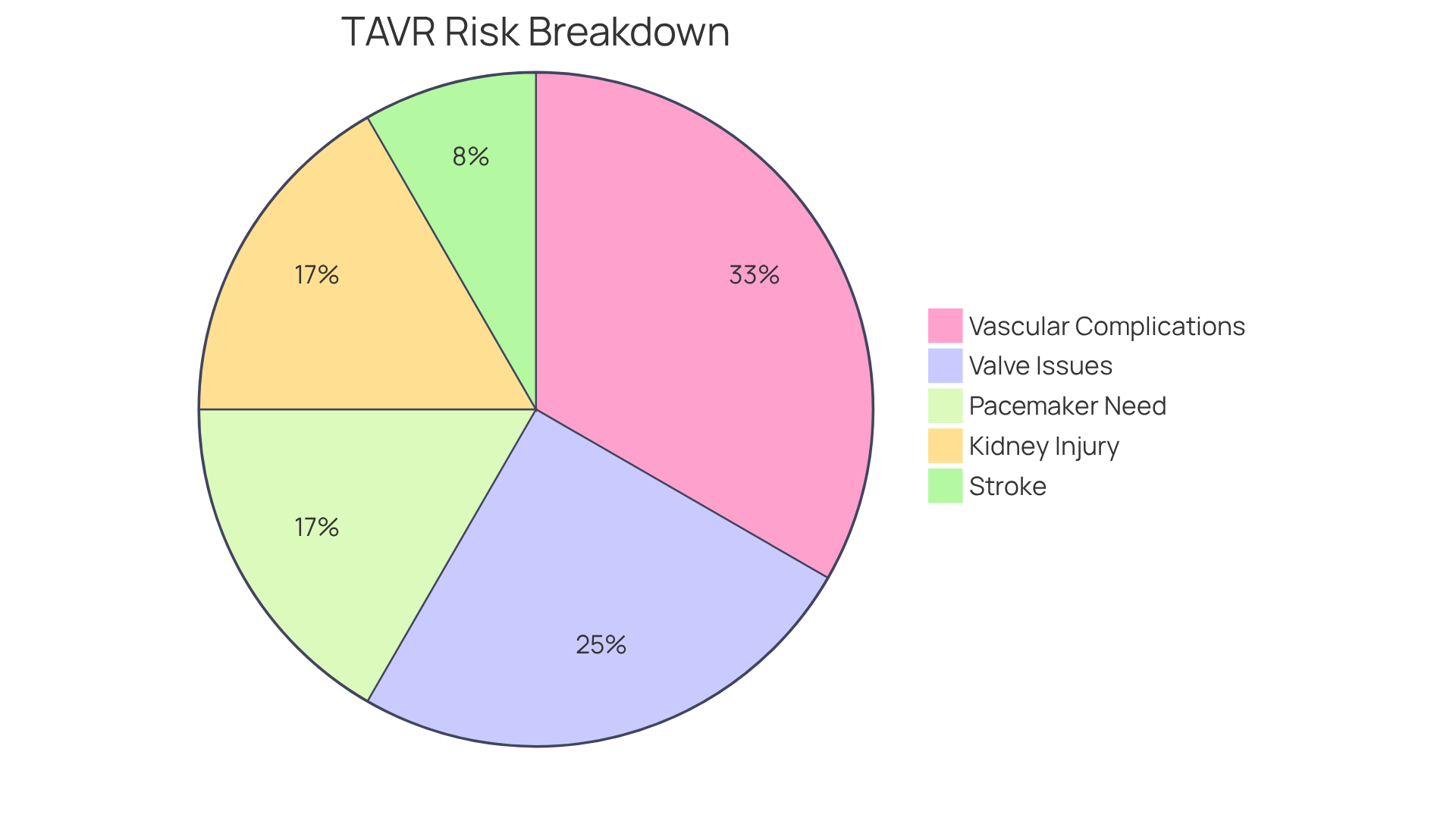 Each segment of the pie chart shows a different risk related to TAVR. The size of each slice indicates how significant that risk is compared to the others. For example, a larger slice means a higher risk, while a smaller slice indicates a lower risk.