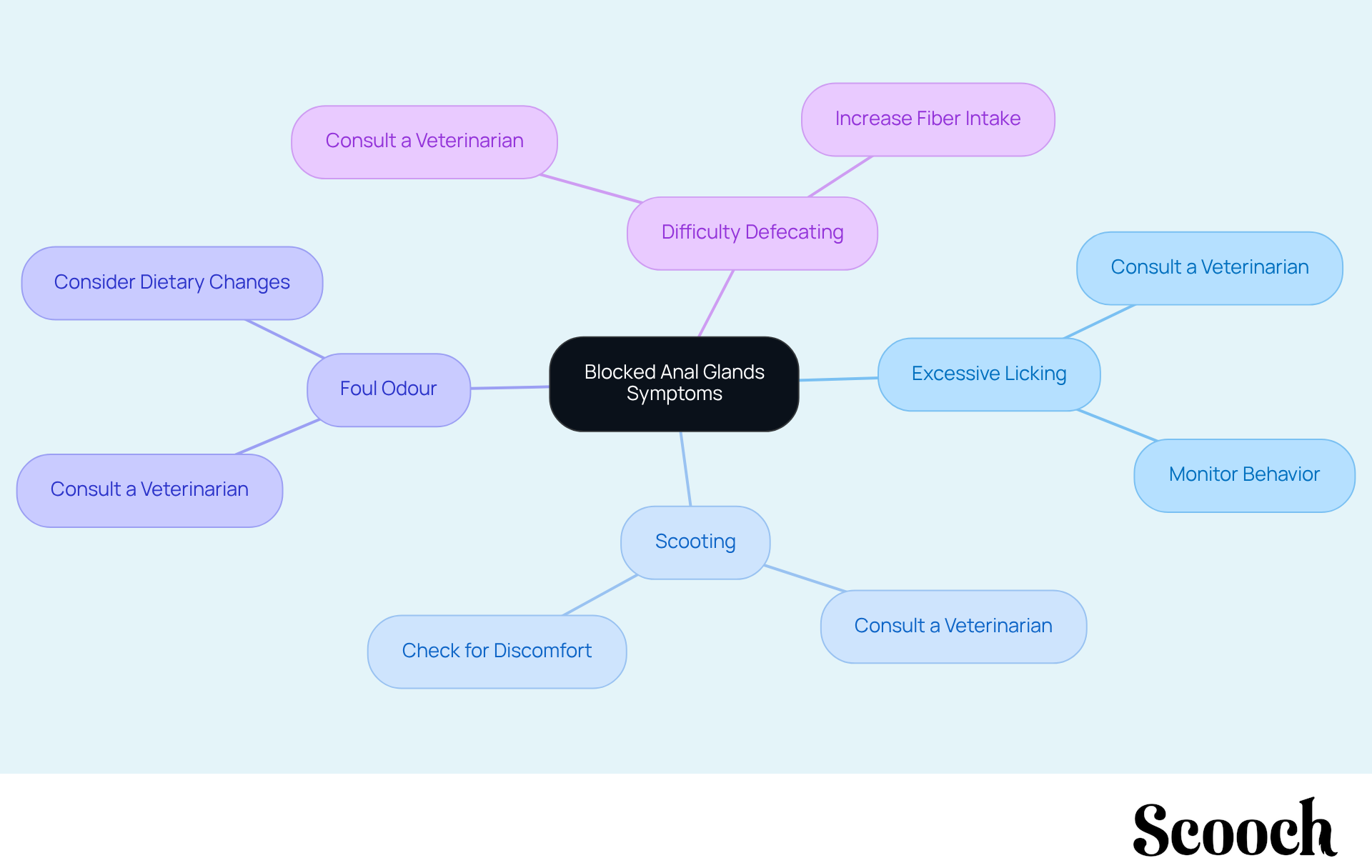 The central node represents the main health issue, while the branches show specific symptoms. Each symptom can lead to further advice or actions to take, helping you understand what to look for in your dog's behavior.