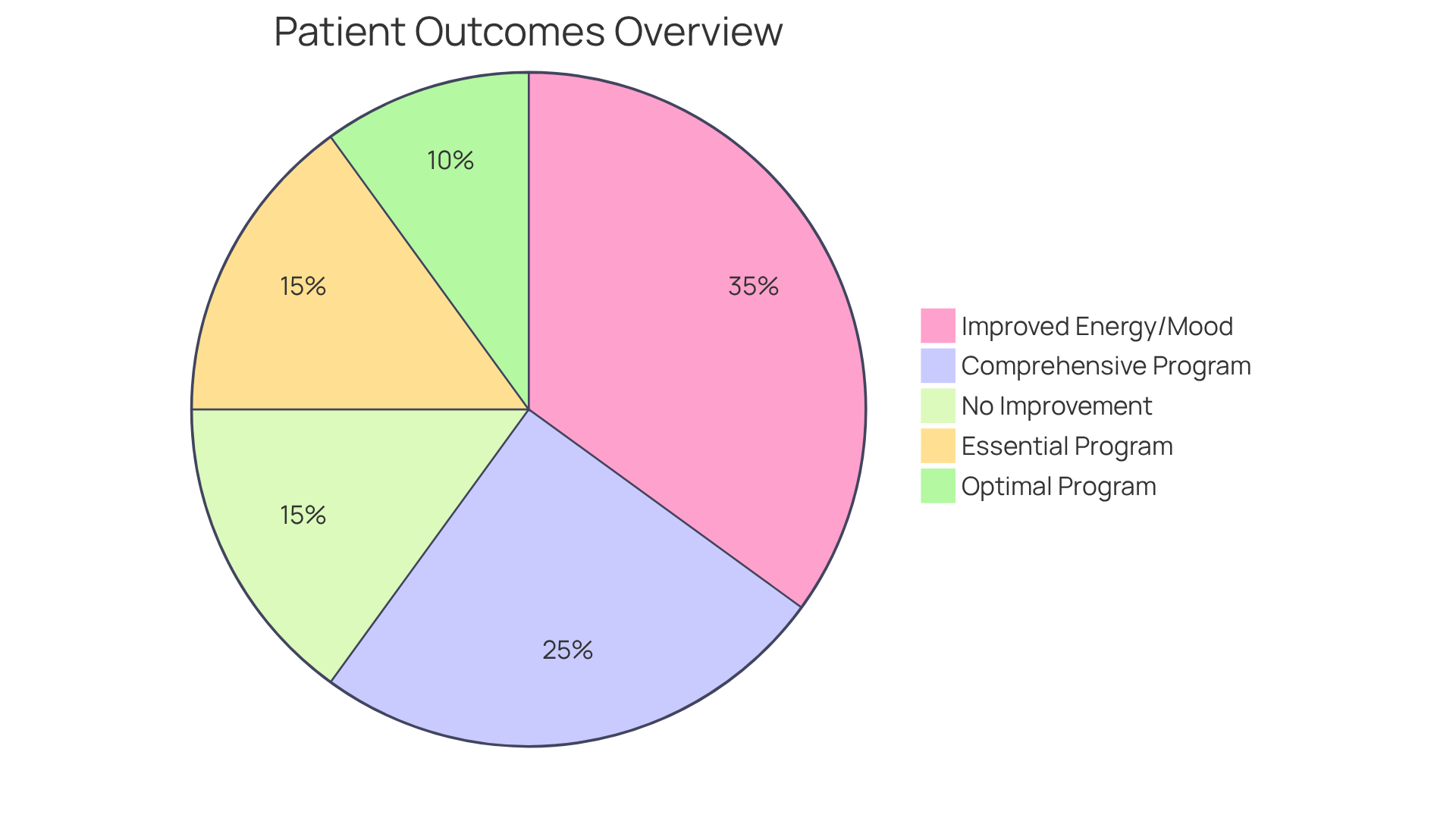 The first pie segment shows how many patients felt better after treatment, while the second pie shows which treatment programs people chose. Bigger slices mean more people had that experience or chose that option.