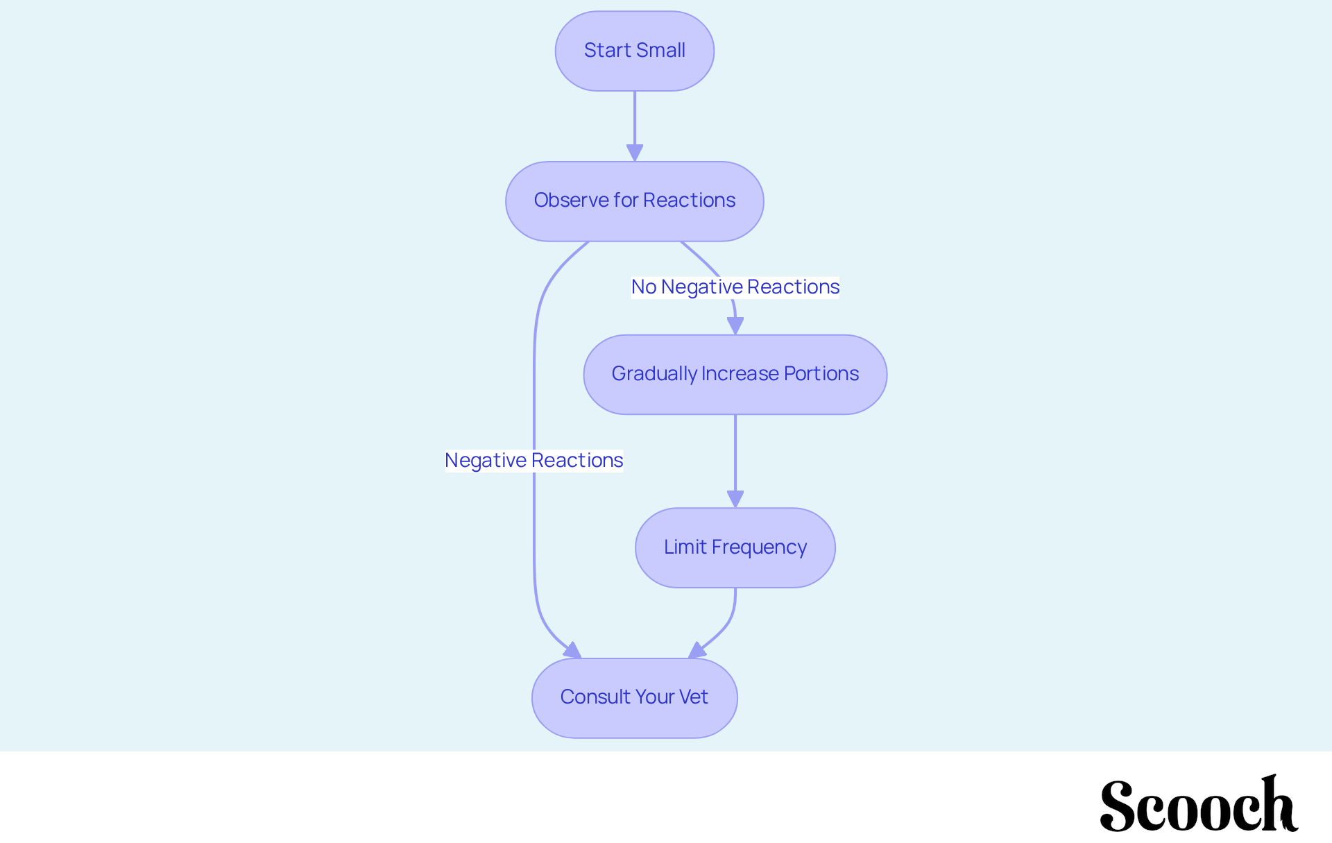 Are Dogs Allowed Cauliflower? Safe Steps to Introduce It