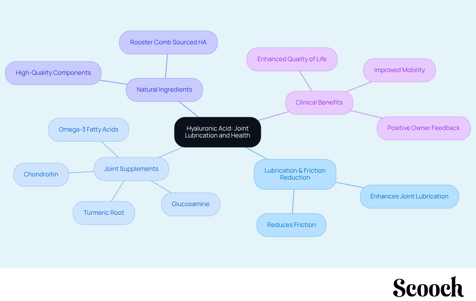 The central node represents Hyaluronic Acid, with branches showing its benefits and related components. Each branch highlights specific aspects of joint health, making it easy to see how they connect.