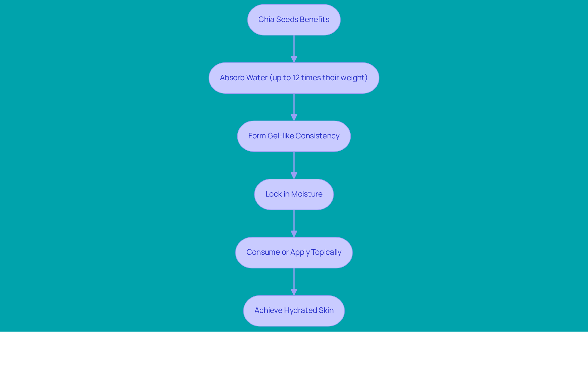 Follow the arrows to understand how each step with chia seeds contributes to improving skin hydration — from absorbing water to achieving a more youthful, plump look.