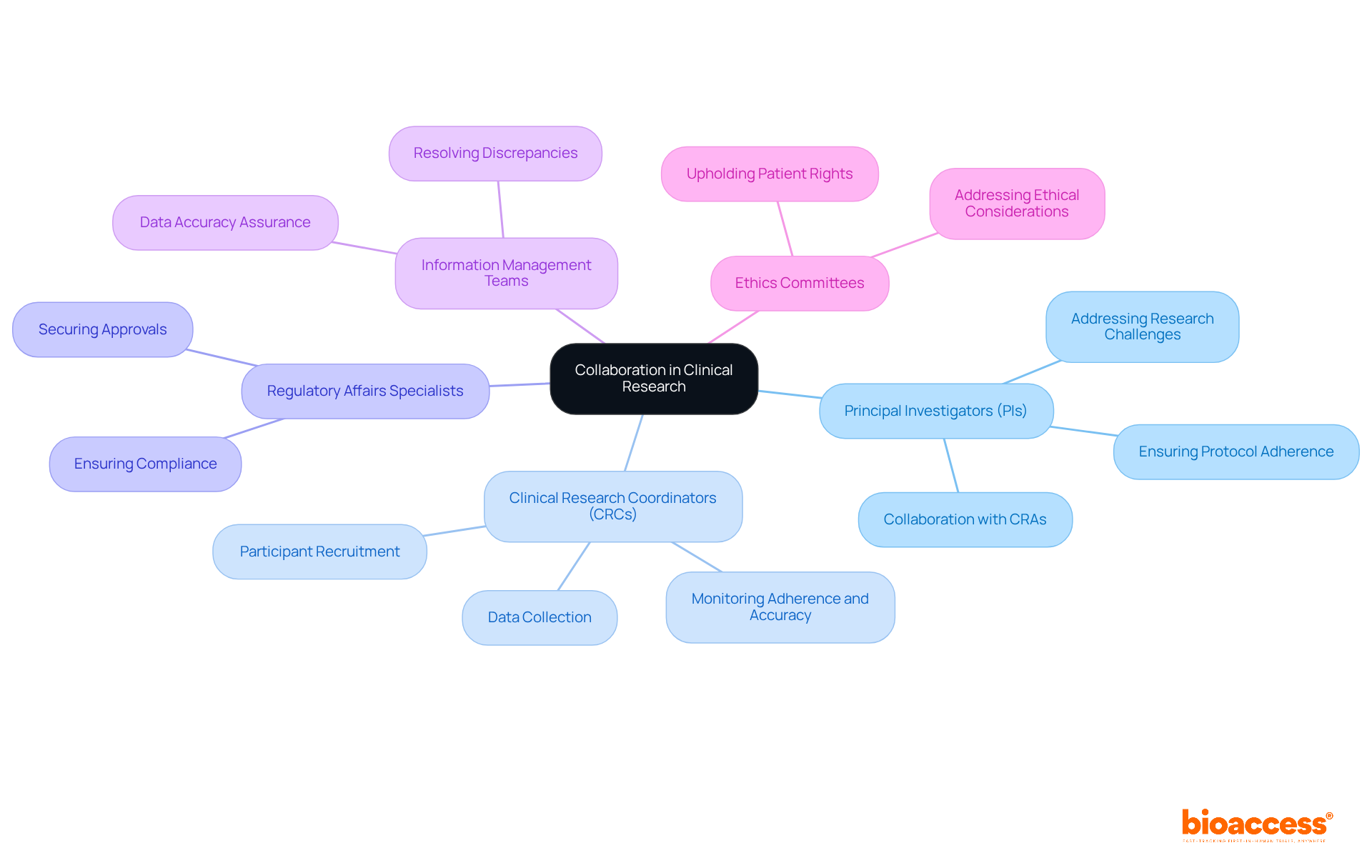 The central node represents the collaboration theme, while each branch shows a key role in clinical research. Follow the branches to see how CRAs interact with each role and what their responsibilities are.
