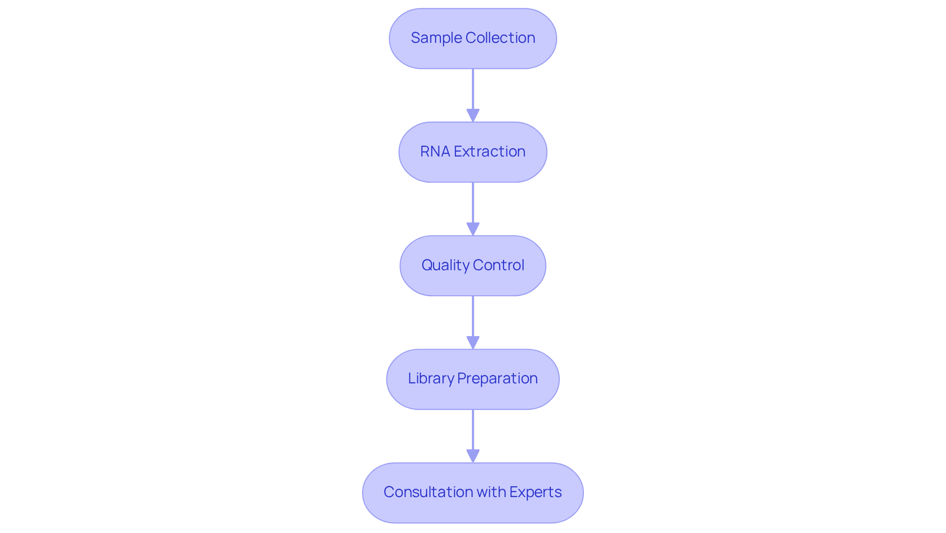 Each box represents a crucial step in the RNA sequencing process. Follow the arrows to see how each step leads to the next, ensuring a successful sequencing outcome.