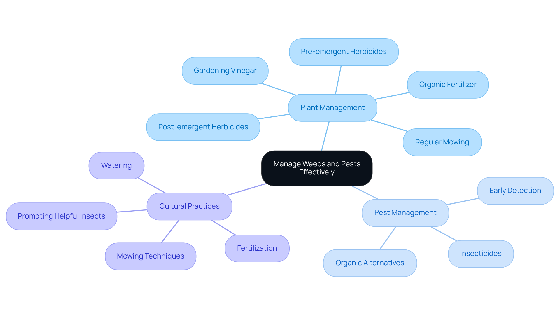 The central idea is managing weeds and pests, with branches showing different strategies. Each branch represents a category of actions you can take to protect your lawn, making it easy to see how they connect. The central idea is managing weeds and pests, with branches showing different strategies. Each branch represents a category of actions you can take to protect your lawn, making it easy to see how they connect.