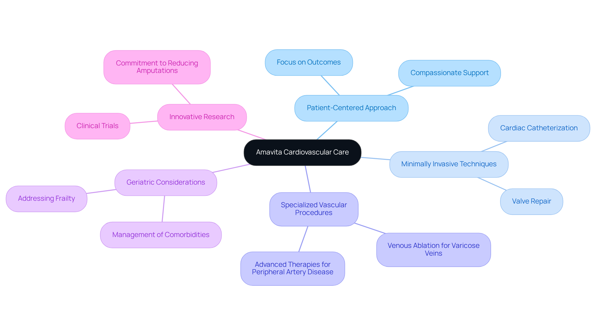 Start at the center with Amavita's commitment to cardiovascular health, then explore the branches to see how they approach care for older adults, including treatments and research efforts.
