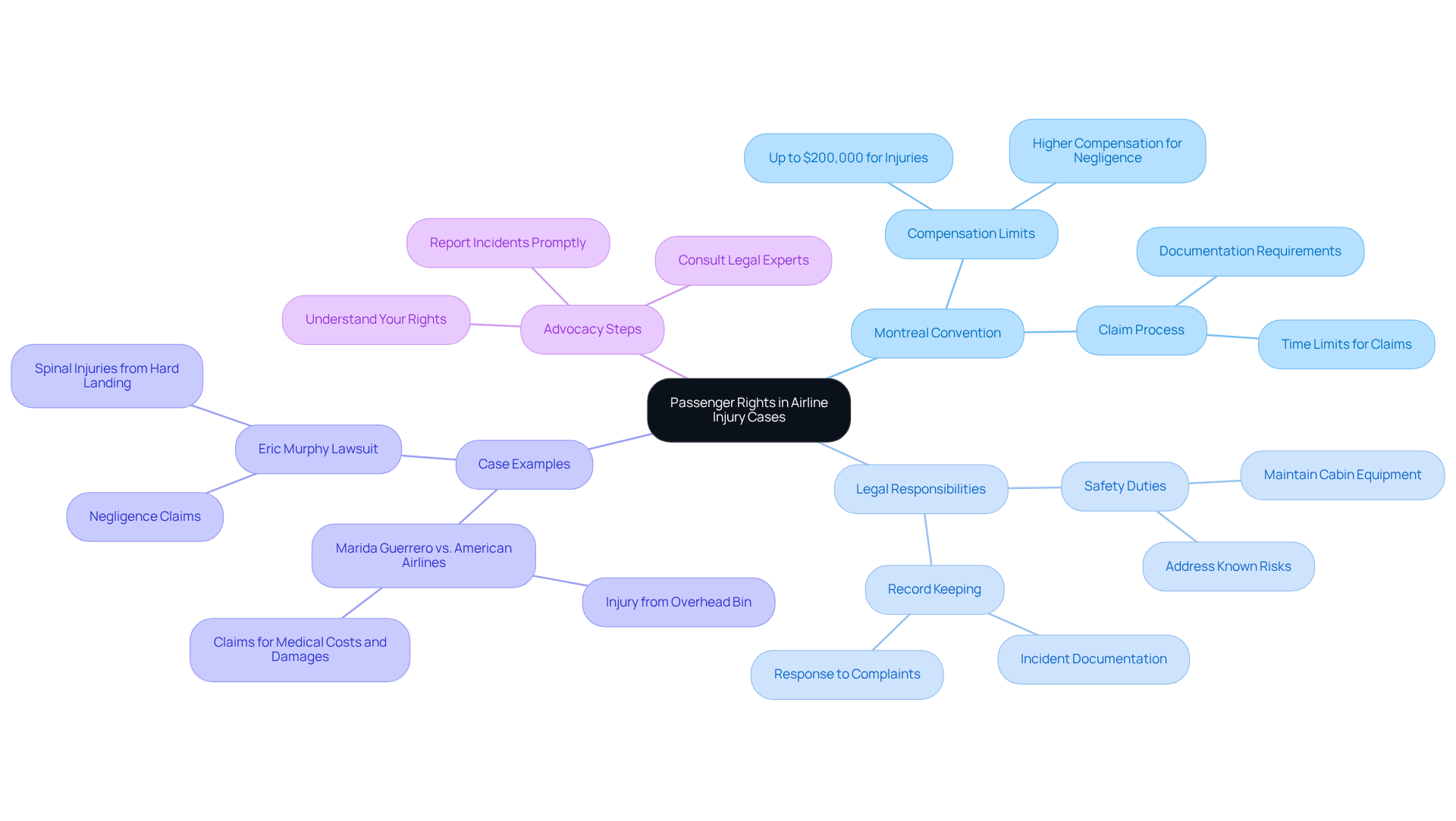 Start at the center with the main topic, then explore each branch to learn about your rights, legal responsibilities of airlines, real-life examples, and steps to advocate for yourself after an incident.
