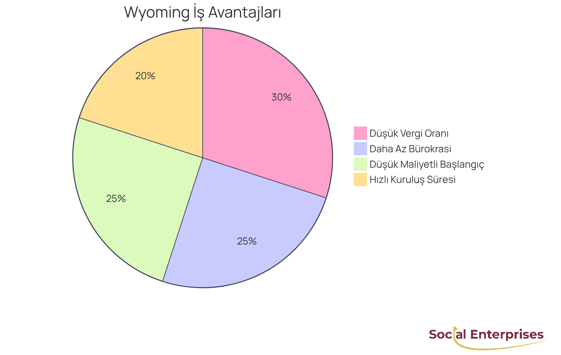 Her dilim, Wyoming'de iş kurmanın sağladığı avantajlardan birini temsil ediyor — dilimlerin büyüklüğü, her avantajın girişimciler için ne kadar önemli olduğunu gösteriyor.