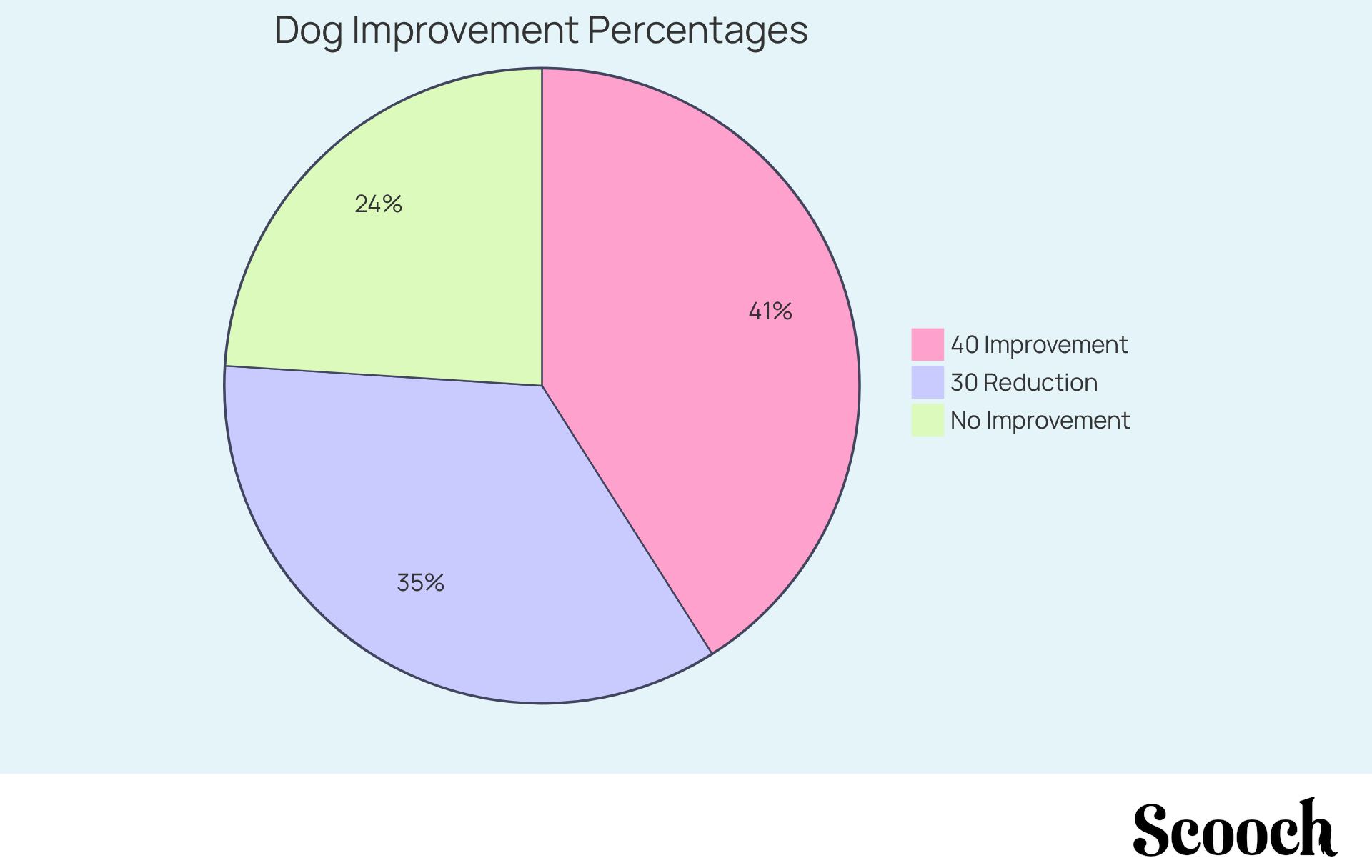 The segments show how many dogs improved after taking green-lipped mussels: the bigger the slice, the more dogs experienced that level of improvement. Blue represents those with a 30% reduction in symptoms, green shows those with a 40% improvement, and gray indicates those with no significant change.