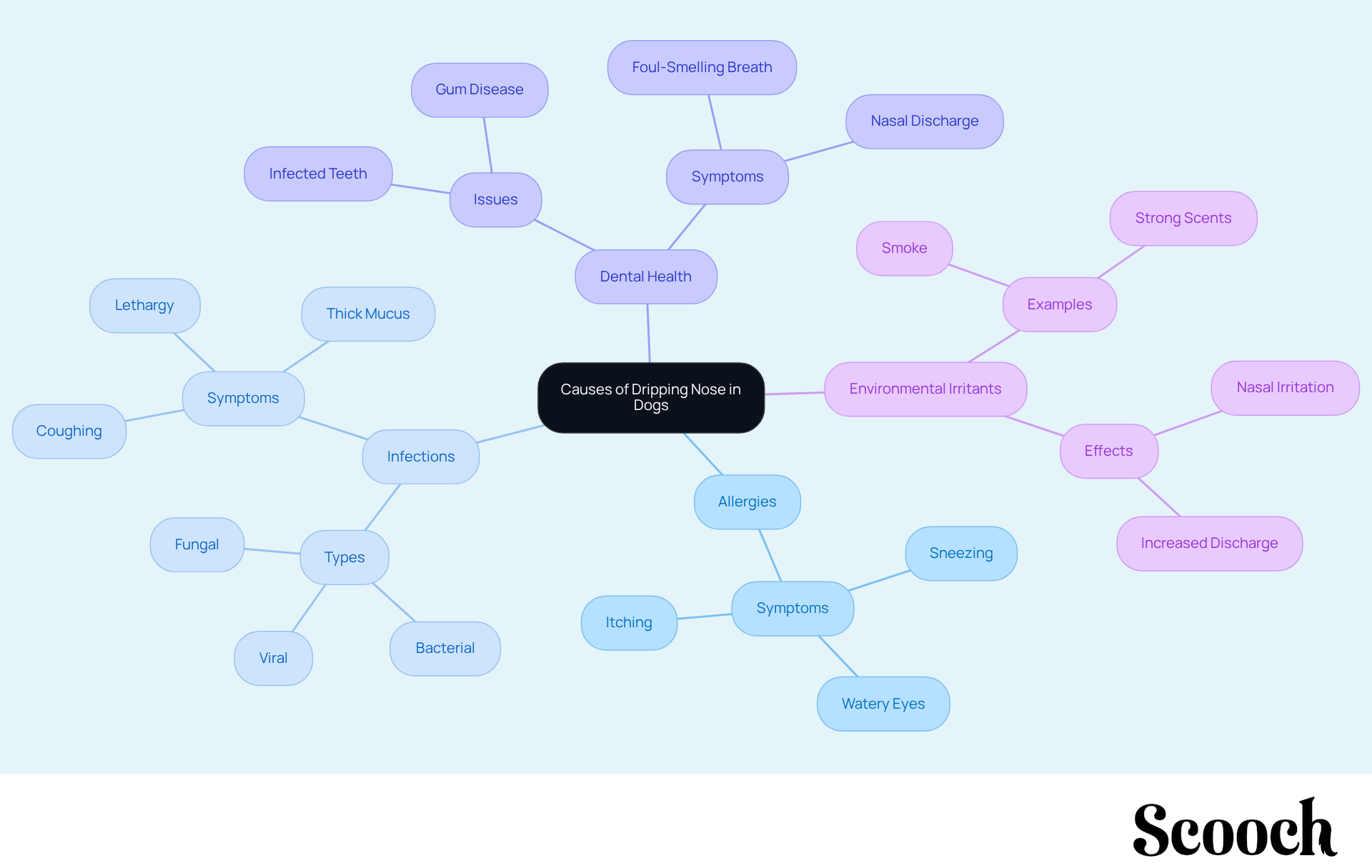 This mindmap shows the main reasons why a dog's nose might drip. Start at the center with the main issue, then follow the branches to see the different causes and their related symptoms. Each color represents a different category, making it easy to understand how they connect.