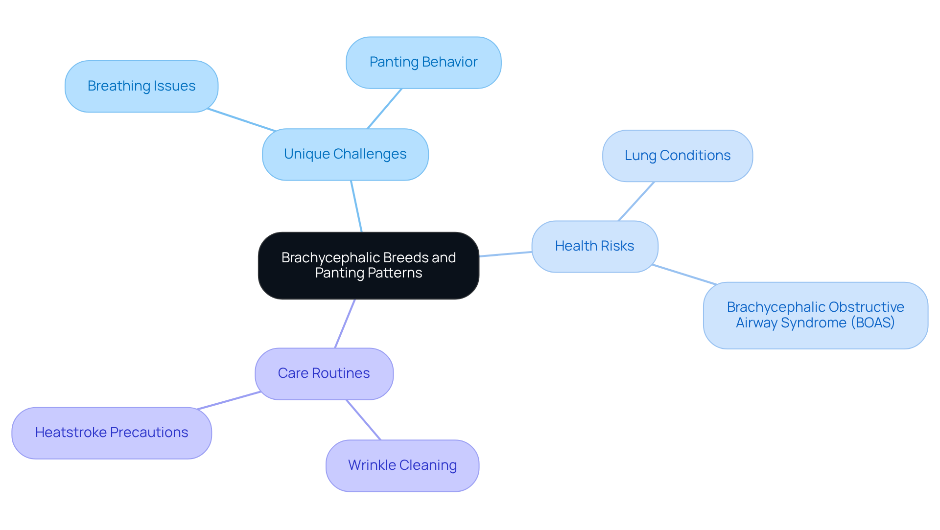 The central idea is about brachycephalic breeds. Each branch shows important aspects like their challenges, health risks, and how to care for them. Follow the branches to see how everything connects!