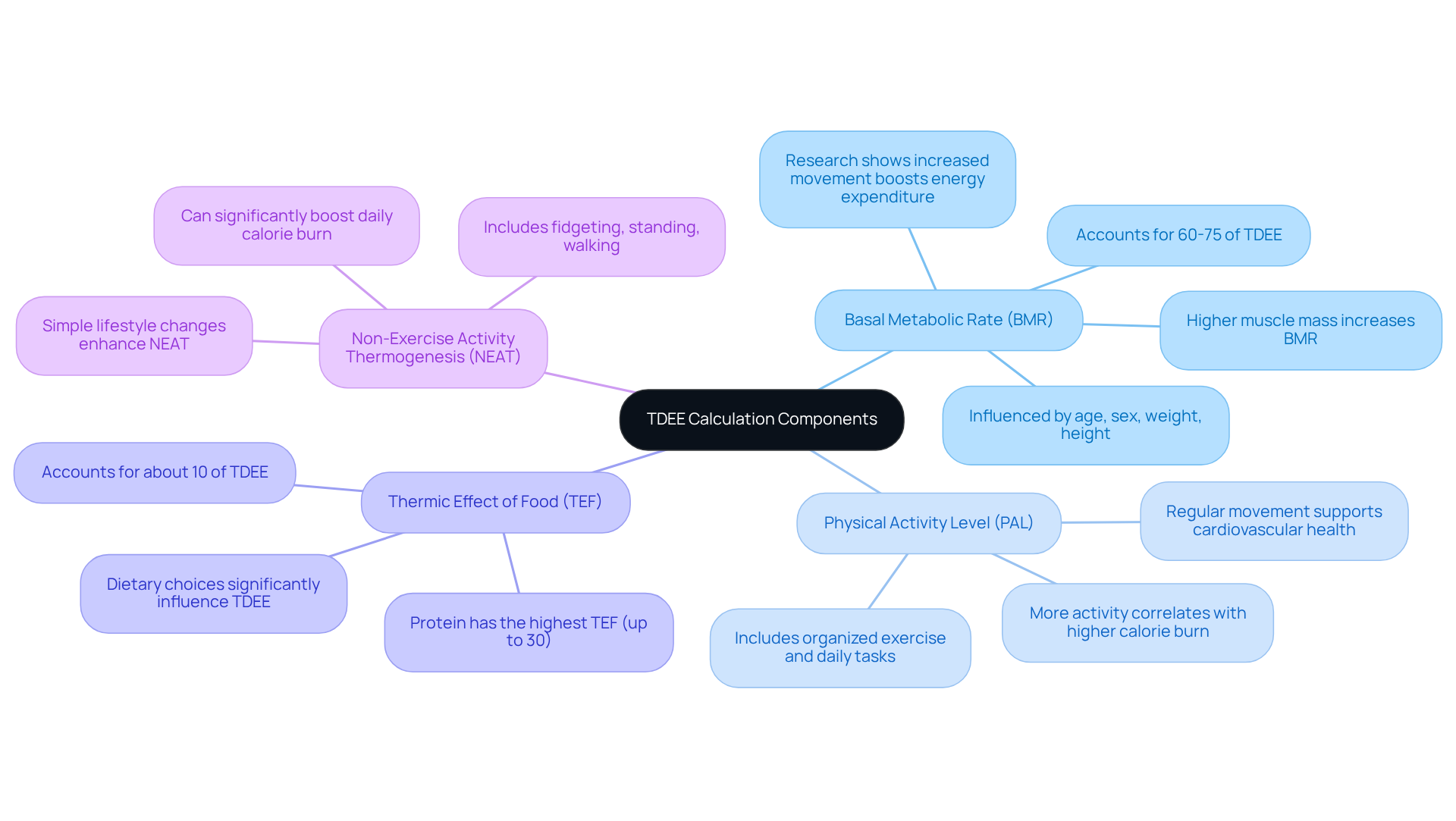 This mindmap illustrates the key components that contribute to your Total Daily Energy Expenditure (TDEE). Each branch represents a different aspect of TDEE, helping you understand how they work together to influence your daily calorie needs.