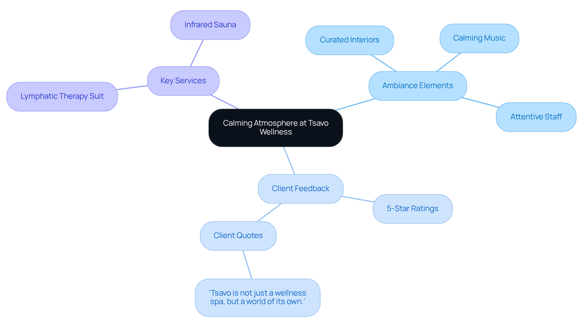 The center shows the main theme of a calming atmosphere, and the branches represent key elements that contribute to this experience. Each branch explores different dimensions of client satisfaction and the services offered.
