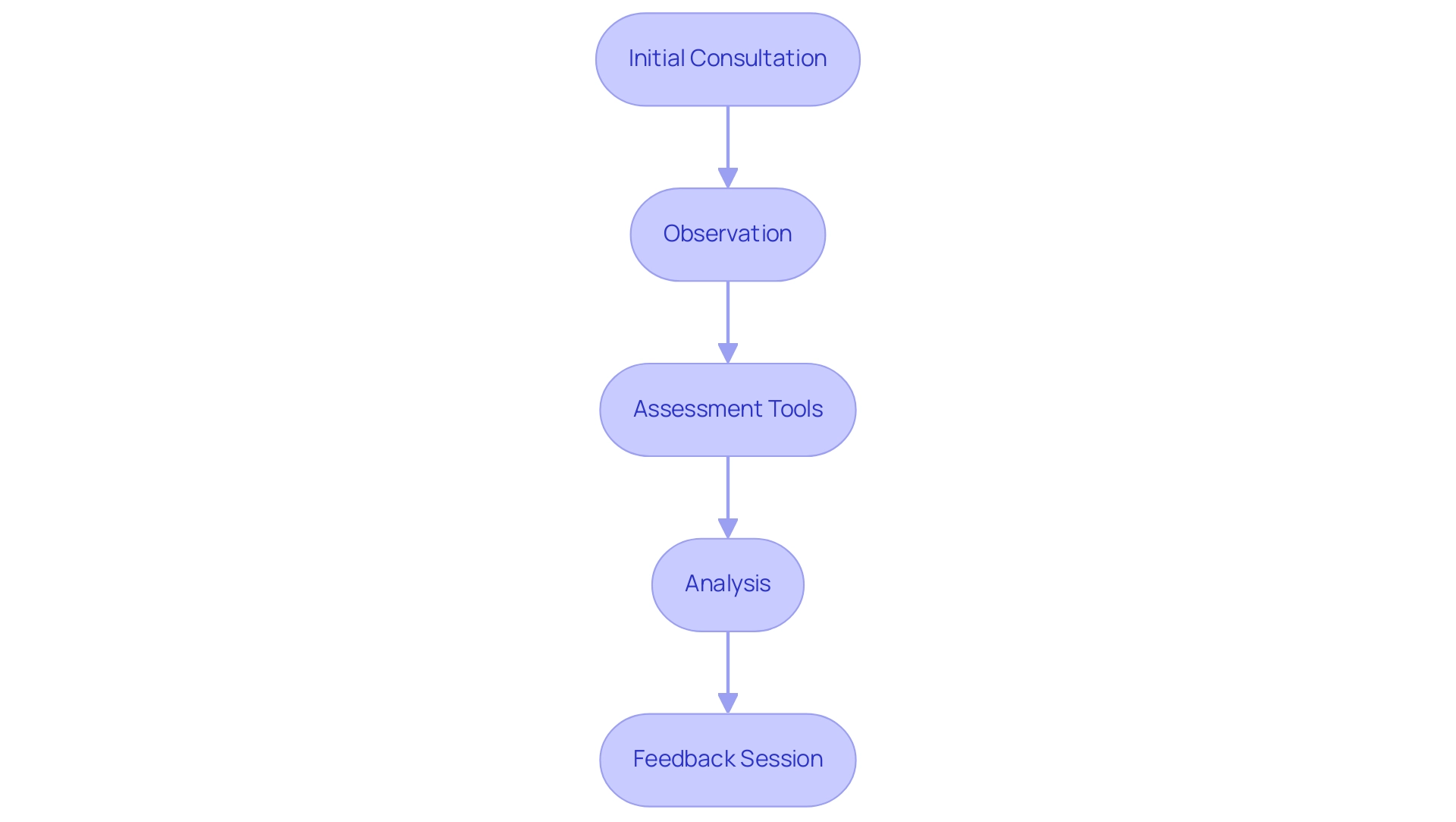 Each box represents a stage in the austic test process, with arrows indicating the sequential flow from one stage to the next.