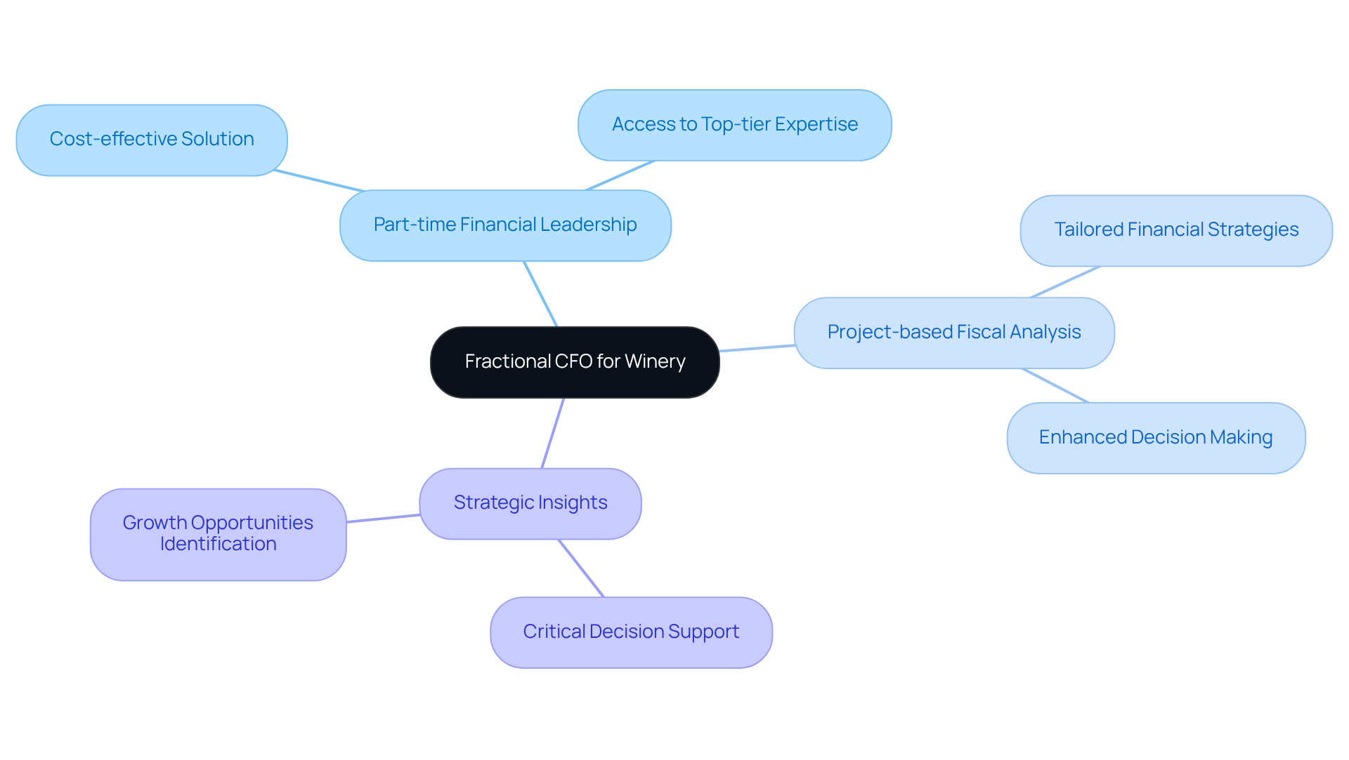 The center represents the main service of a fractional CFO, and the branches illustrate the different services and benefits that contribute to the financial growth and strategy of a winery.