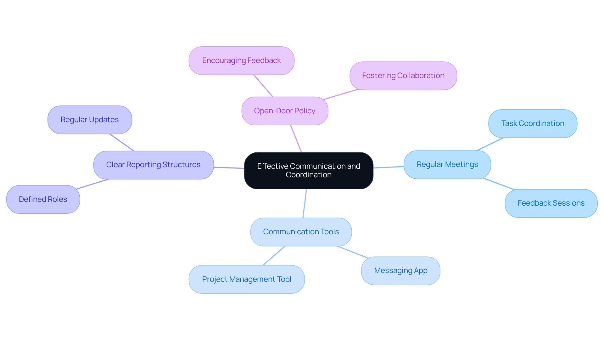 Start at the center with the main theme, then follow the branches to explore each strategy and its specific actions. Each color represents a different strategy, making it easy to see how they all connect. Start at the center with the main theme, then follow the branches to explore each strategy and its specific actions. Each color represents a different strategy, making it easy to see how they all connect.